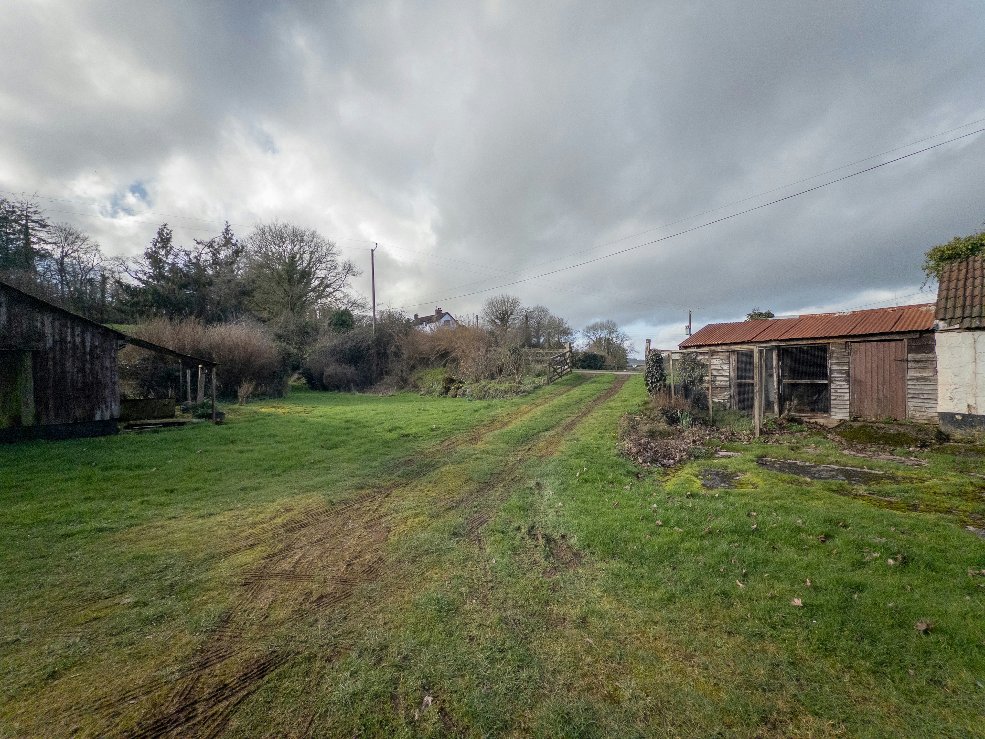 Rural Track Toward a Distant Sky