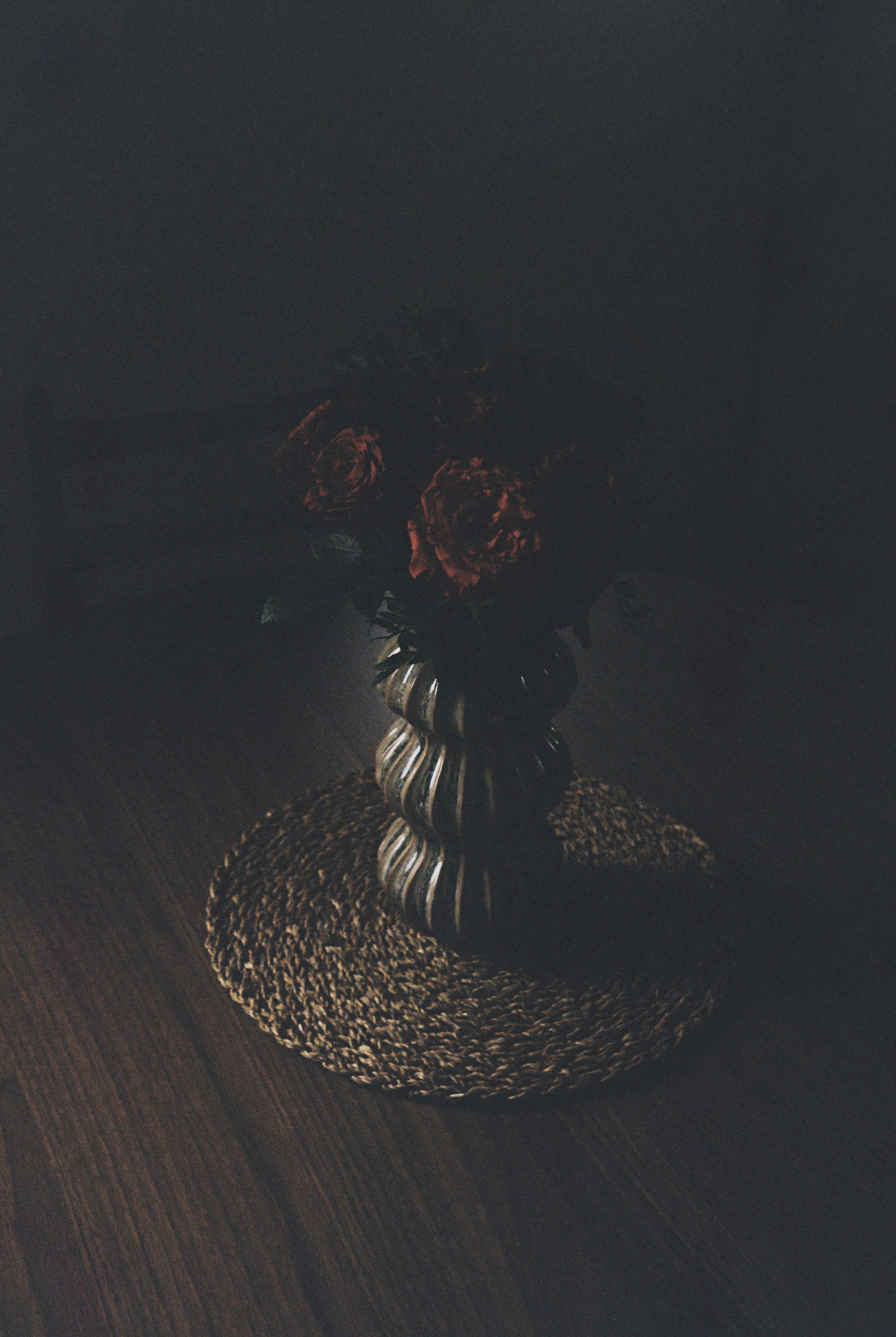 Shot on FUJI Fujicolor 200