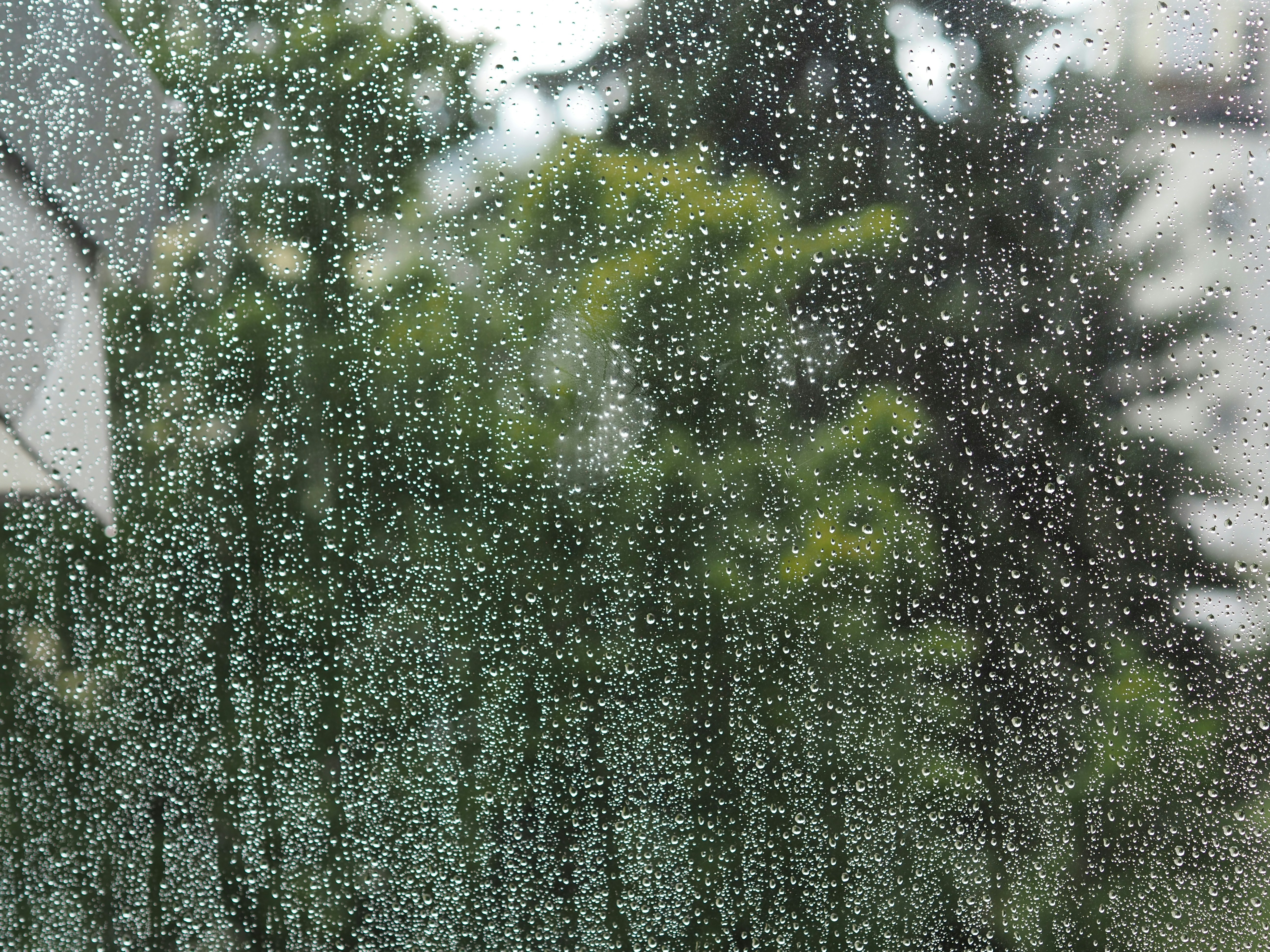 Rain-speckled Window: A Moment Behind the Glass