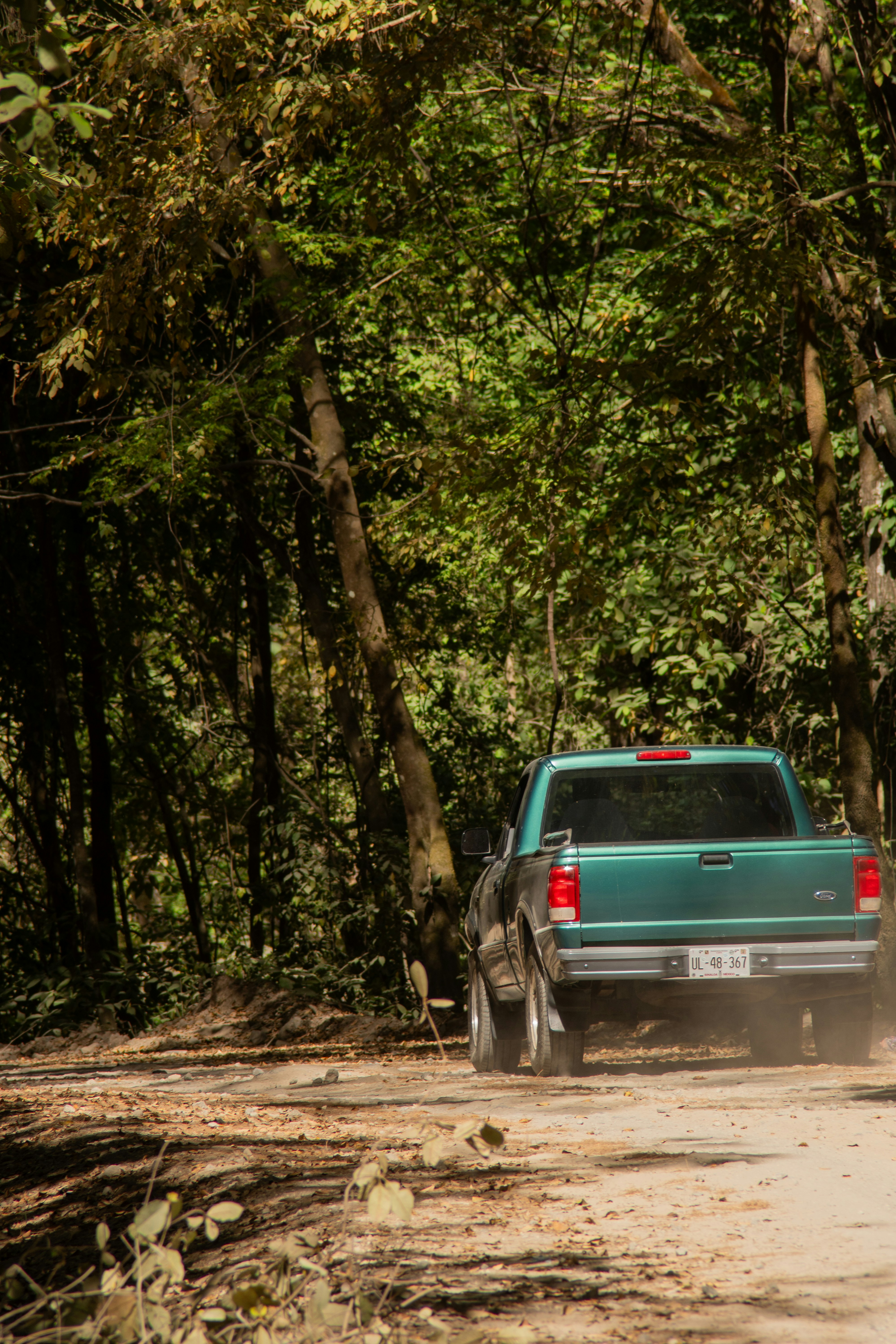 Green Pickup at the Edge of the Forest Road