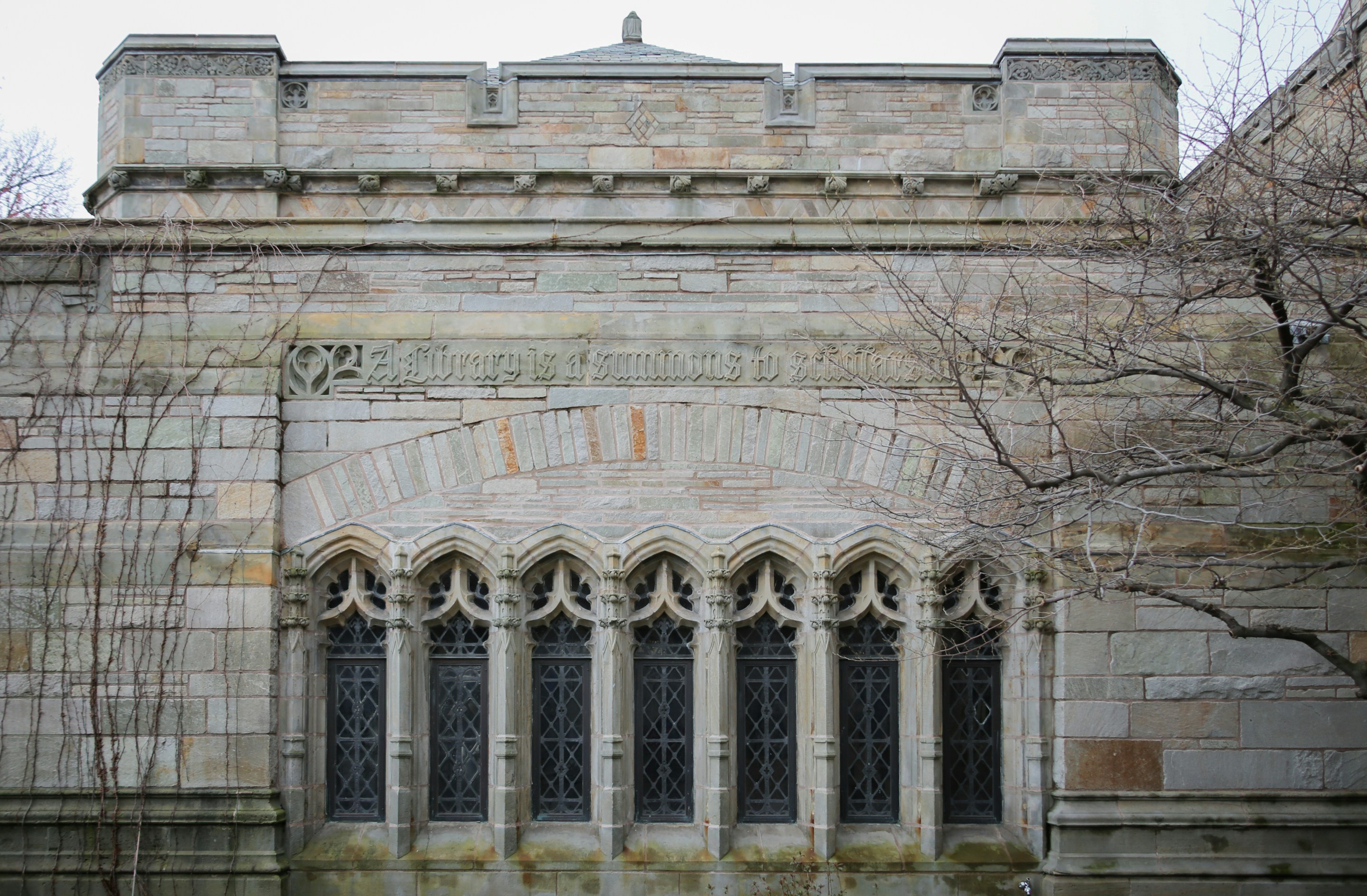 Gothic Arches Behind Winter Vines