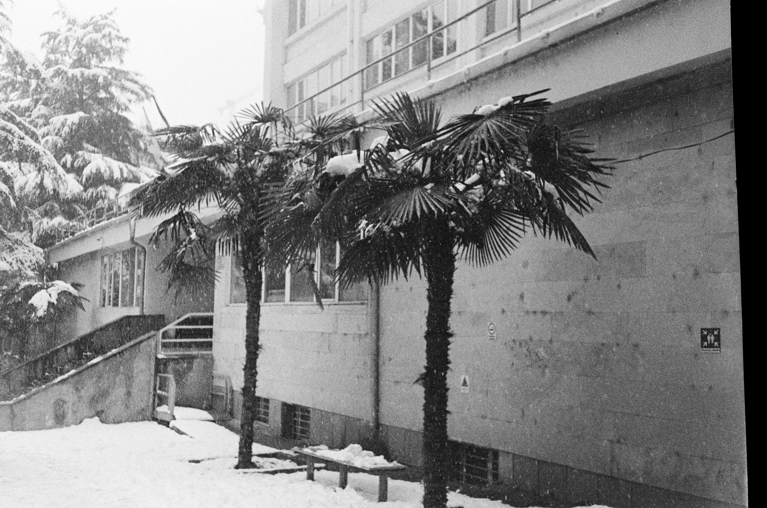 Snowfall in Tbilisi. 35mm 35mm film analog photography film photography zorki zorki4 street photography