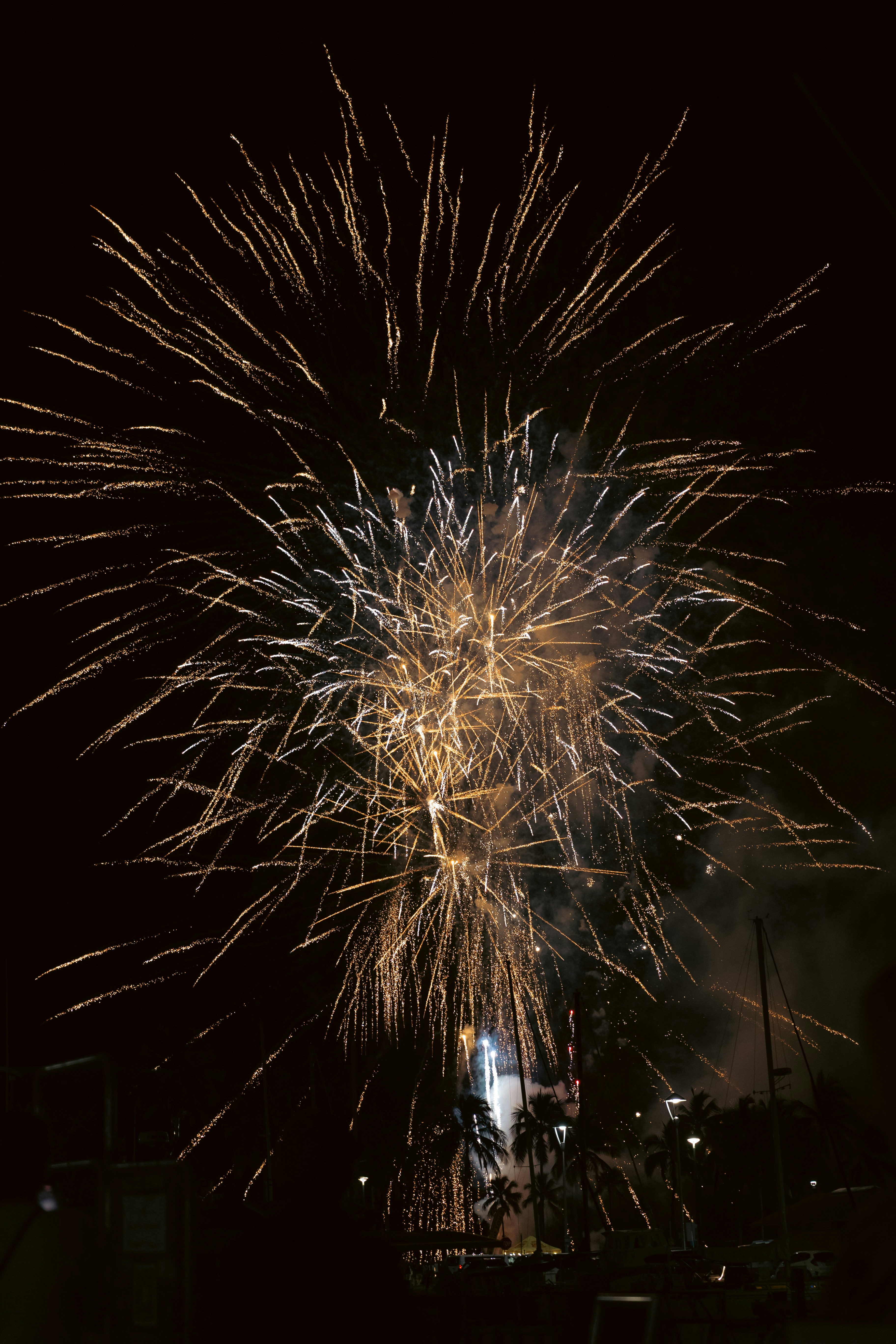 Night Sky Sparks: A Palm-Front Firework Bloom Over Silent Marina