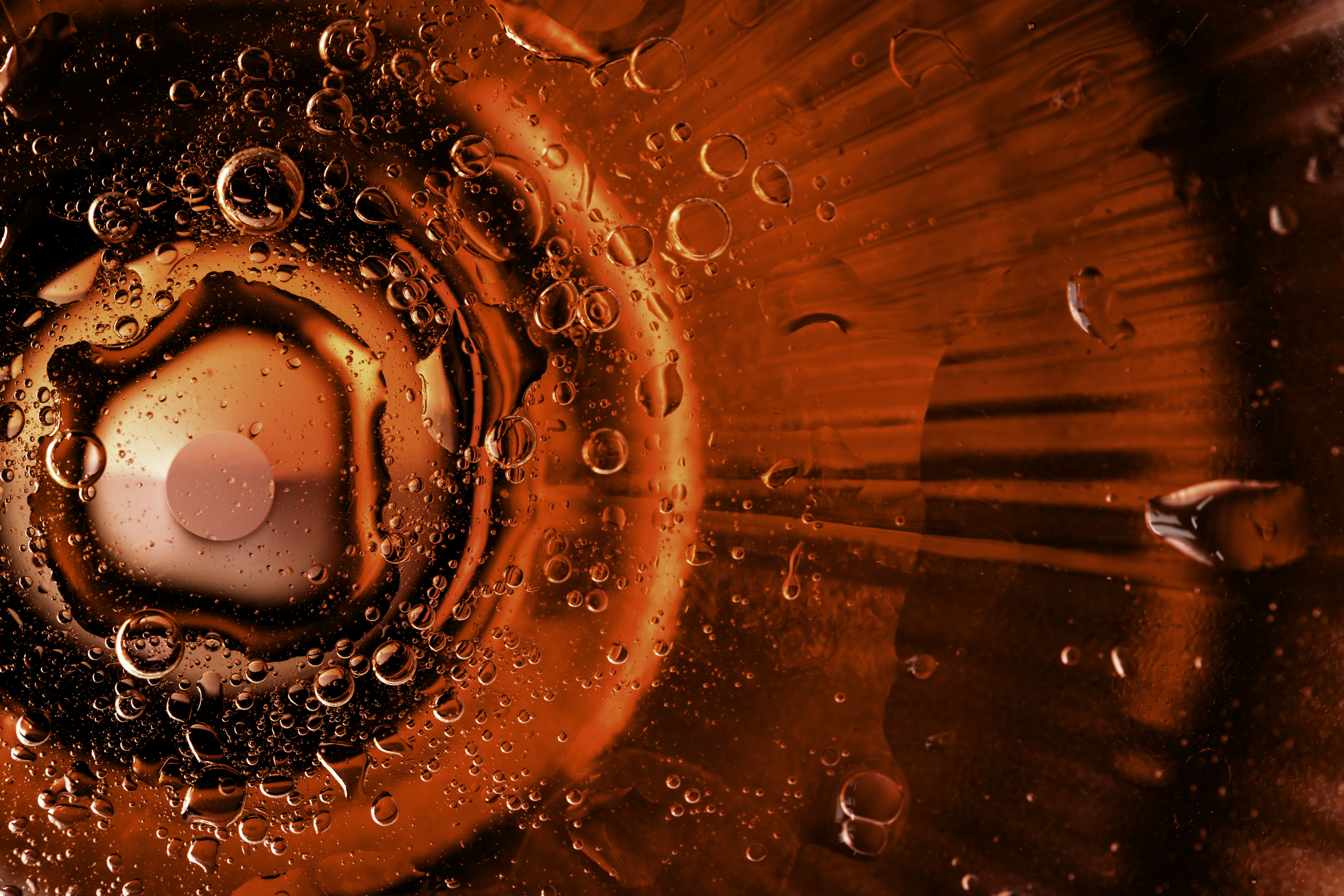 Crimson Vortex: A Macro Moment Inside a Liquid Rose