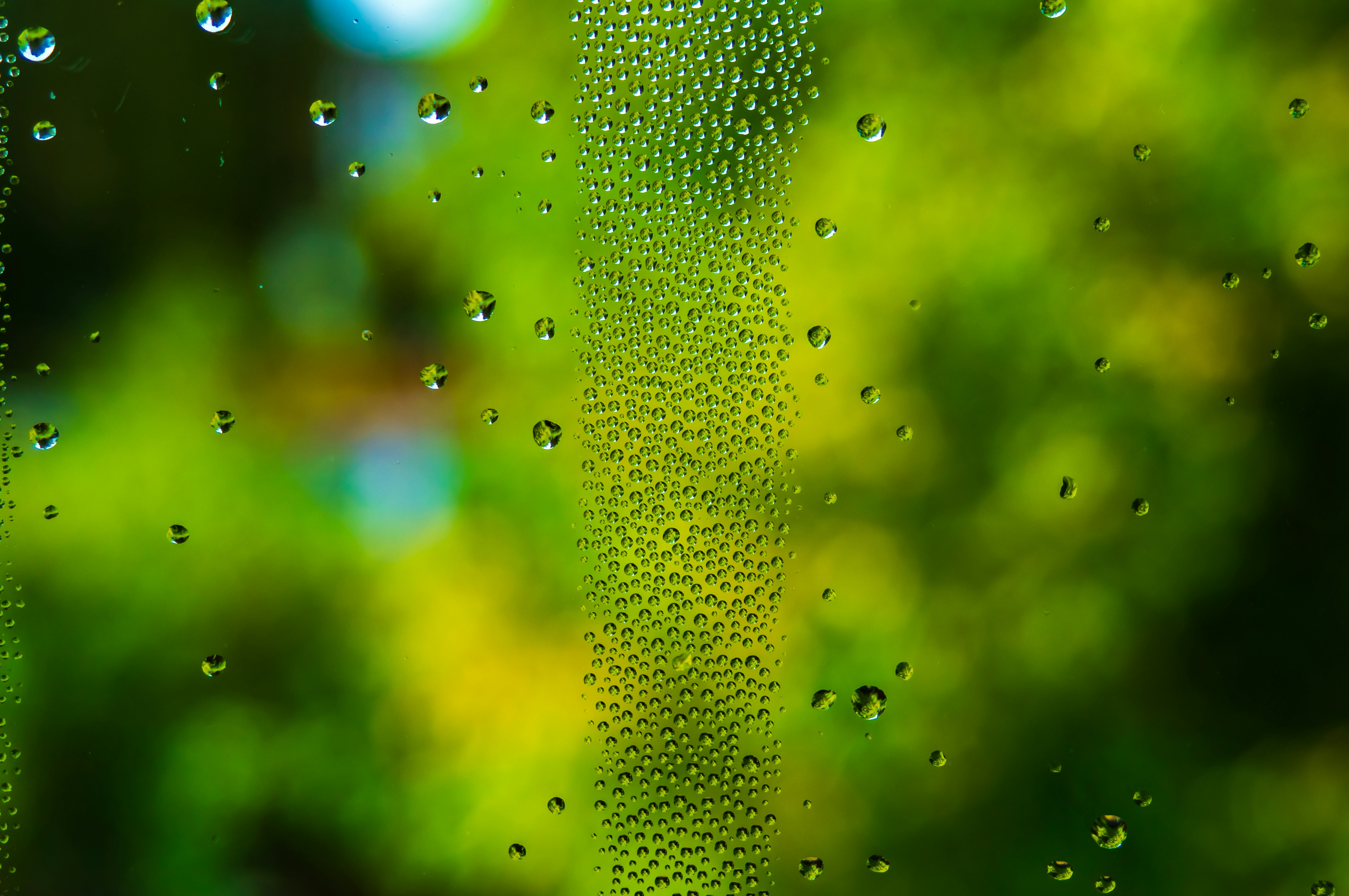 Green Cylindrical Veil: Dew Drops on a Foliage Spine