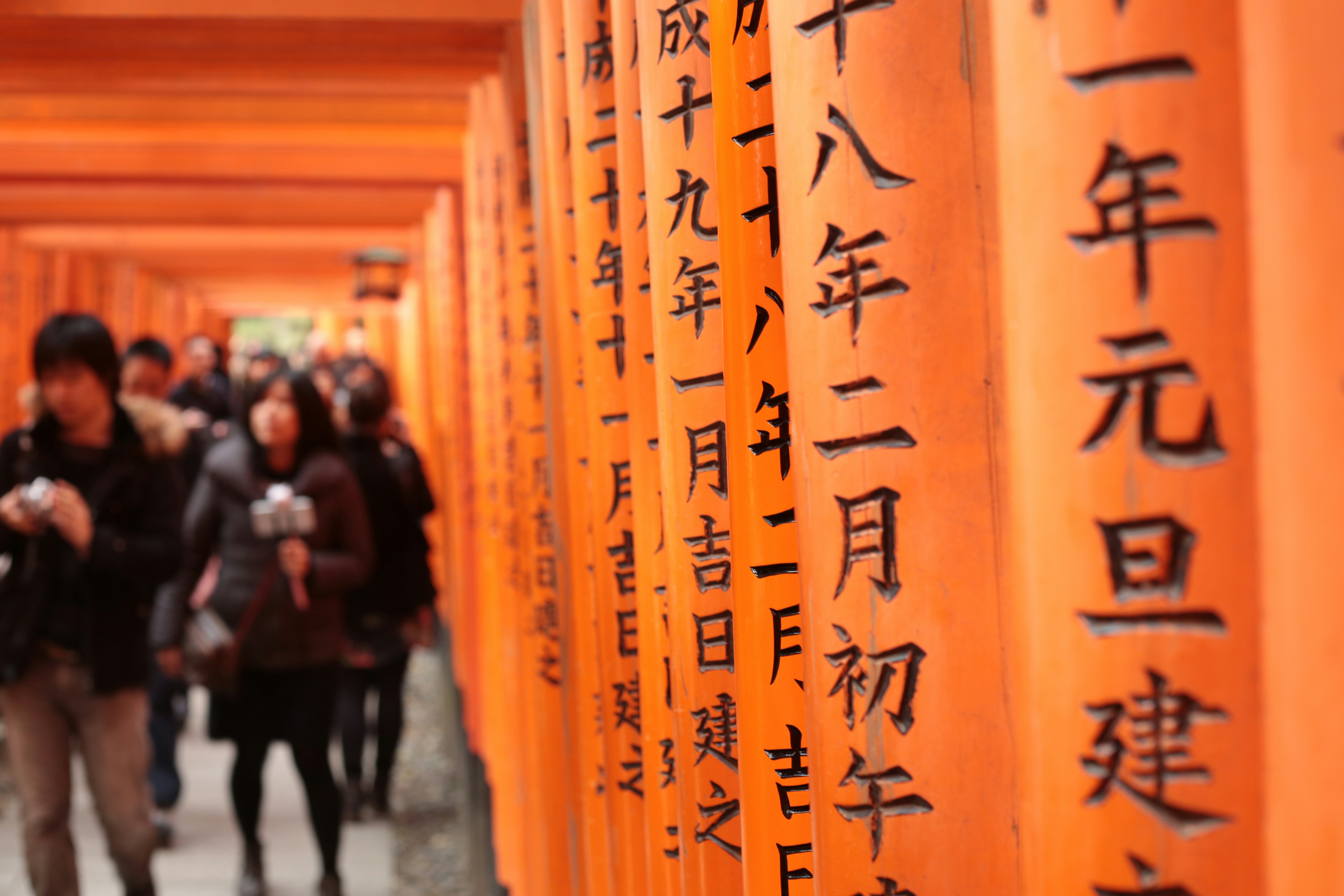 Crimson Gateway: A Corridor of Calls and Faces