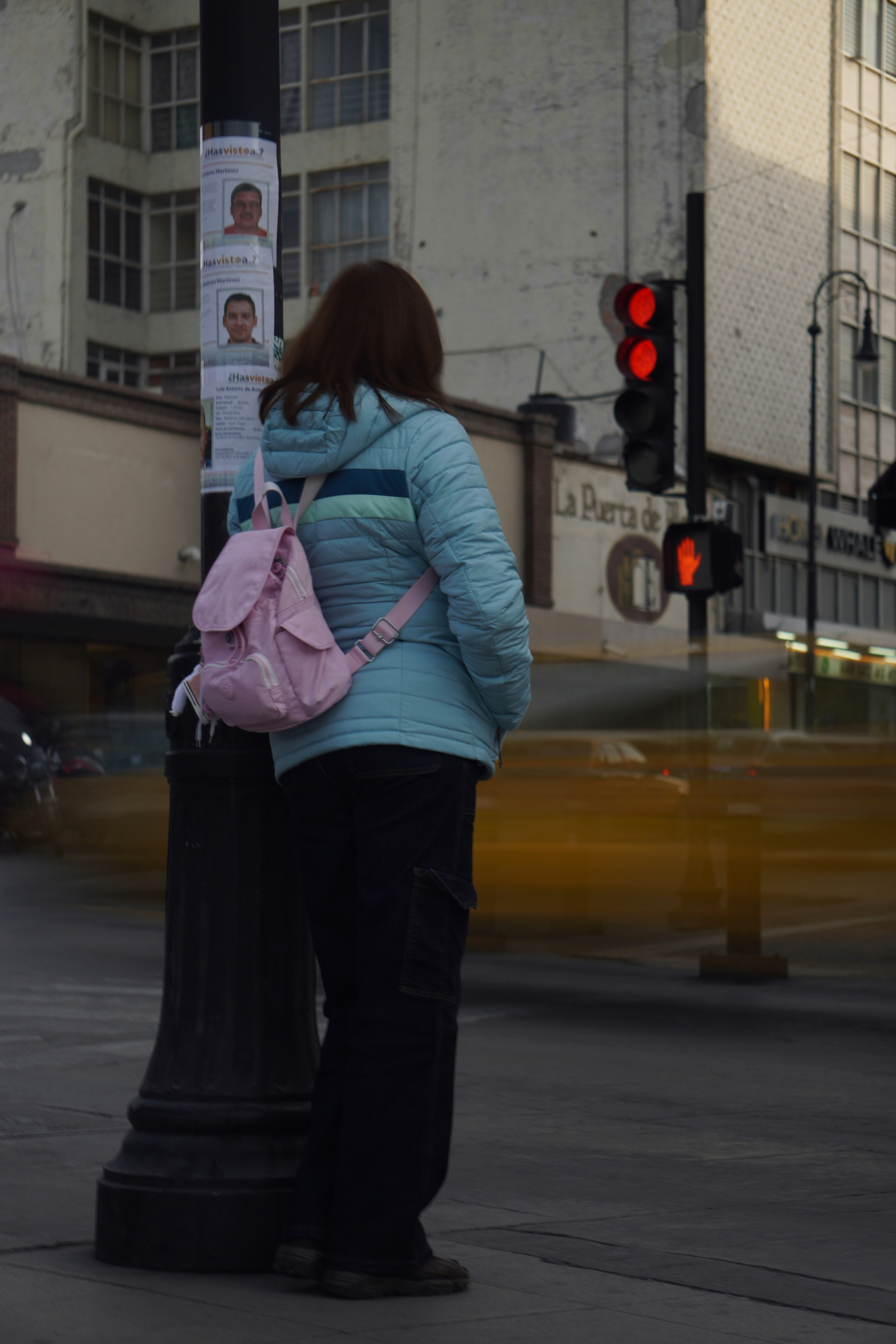 Blue-Backed Traveler at a City Crossing