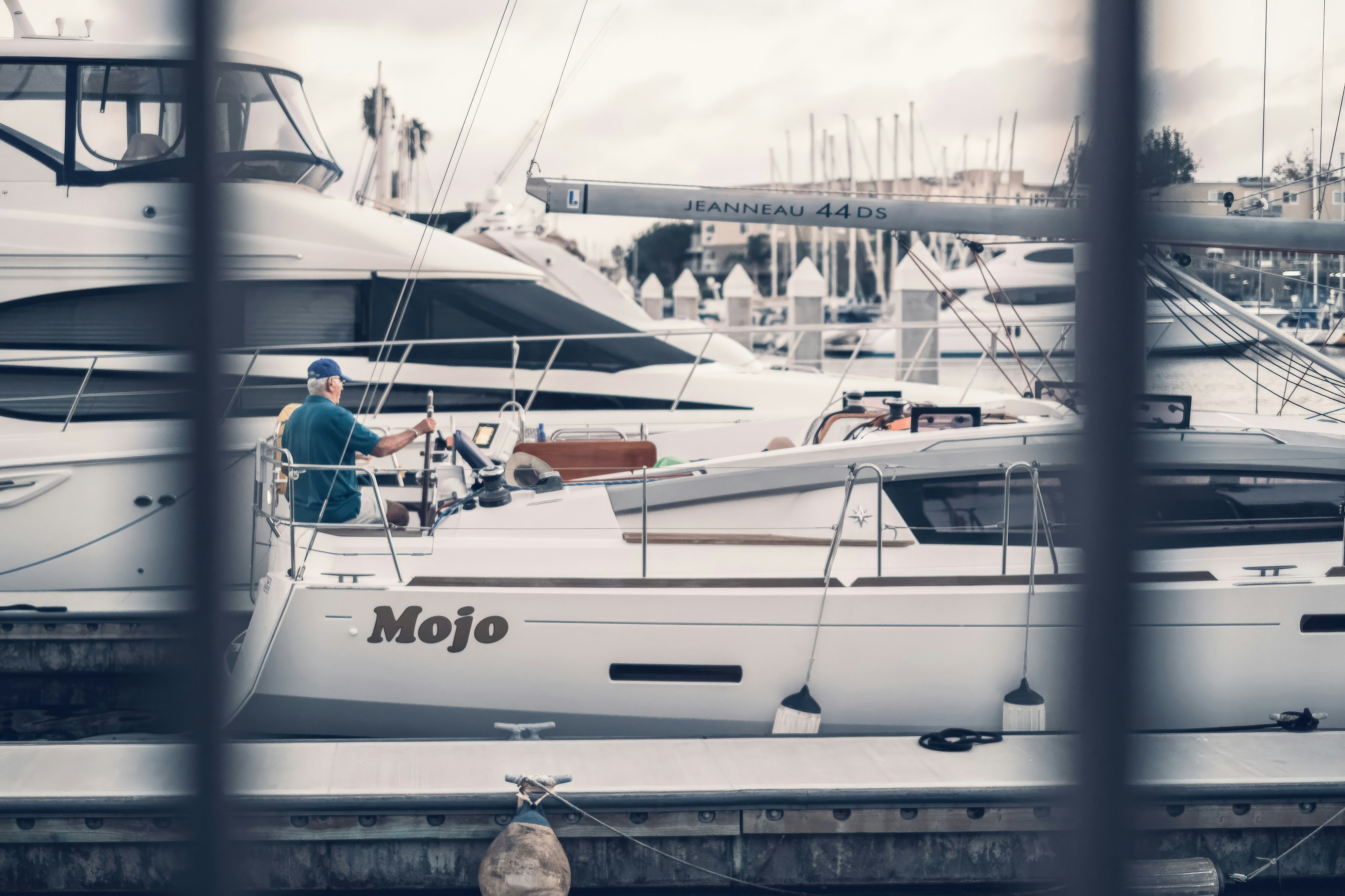 Mojo at the Marina: A Quiet Moment Between Masts