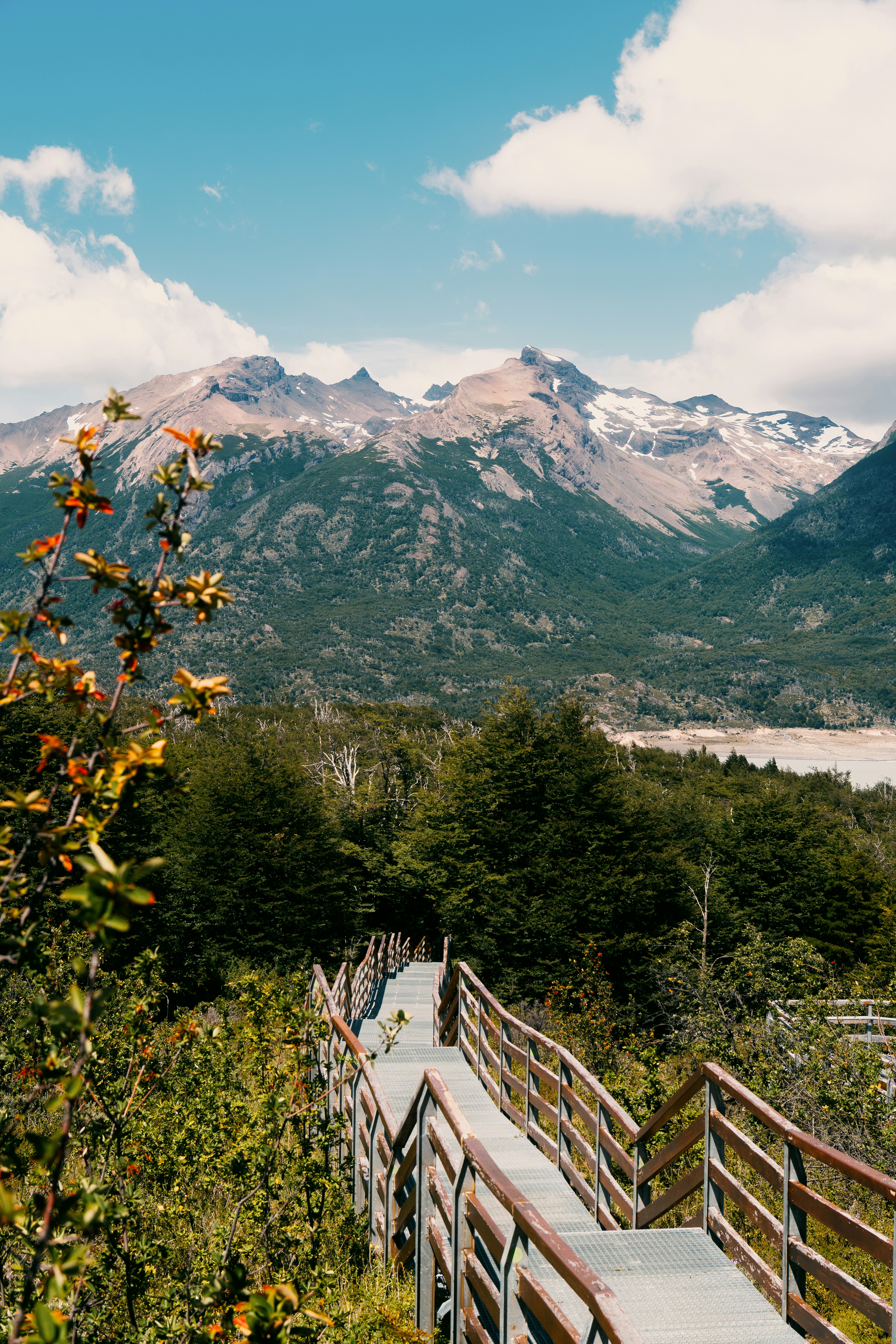 Boardwalk to the Mountain Ridge