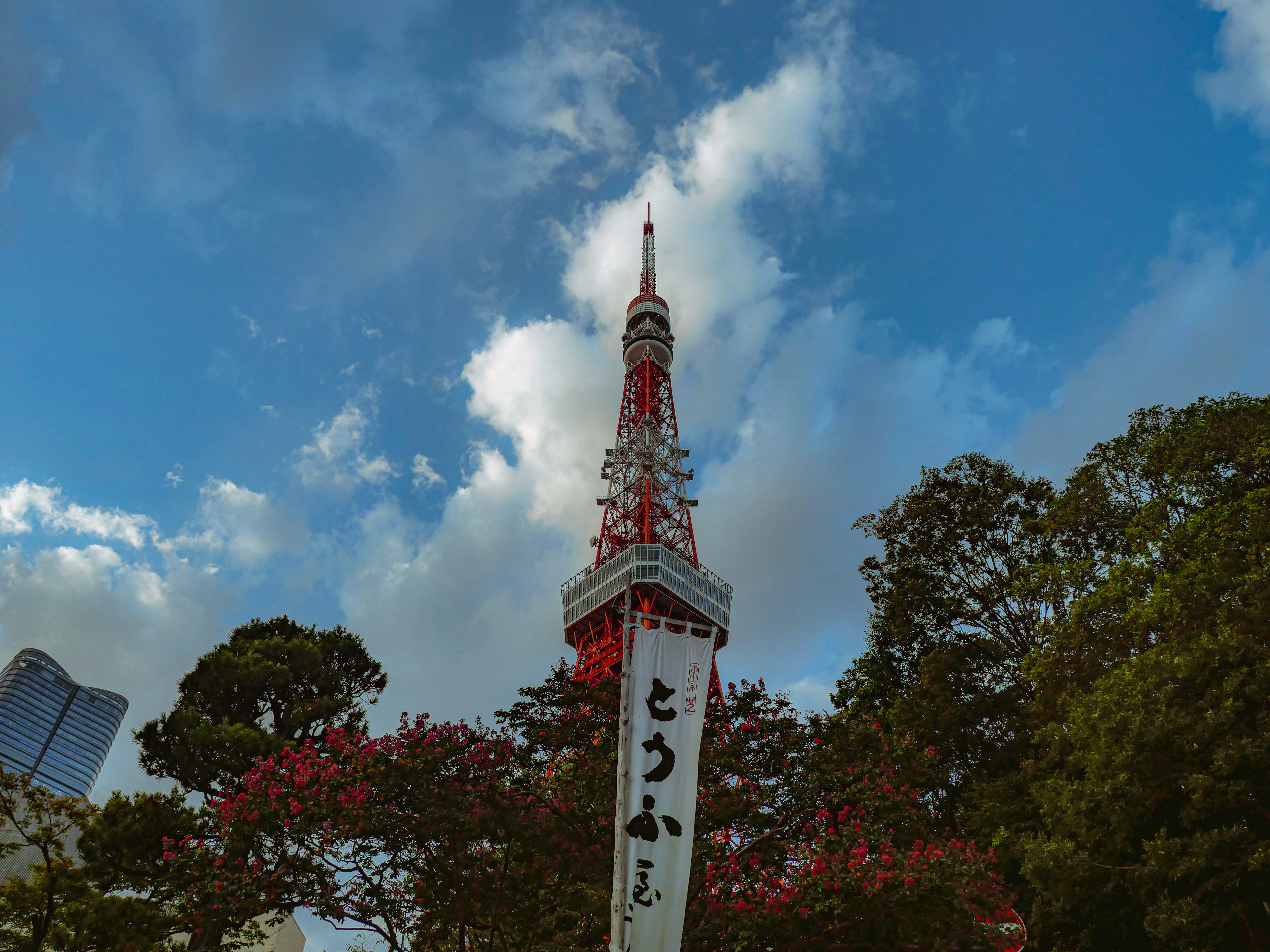 Tokyo Tower rises above cherry blossoms and blue sky