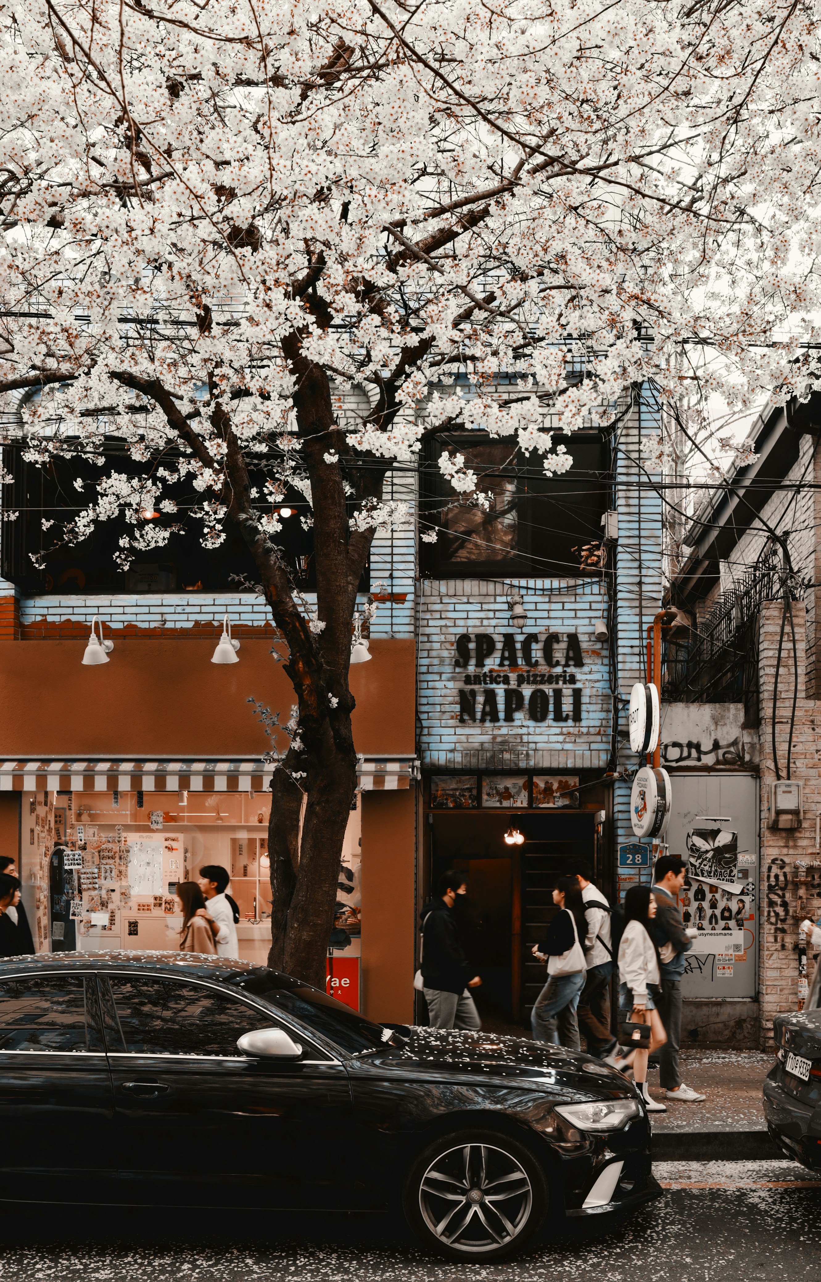 Cherry Blossom Window to a Busy Street in Naples-inspired Alley