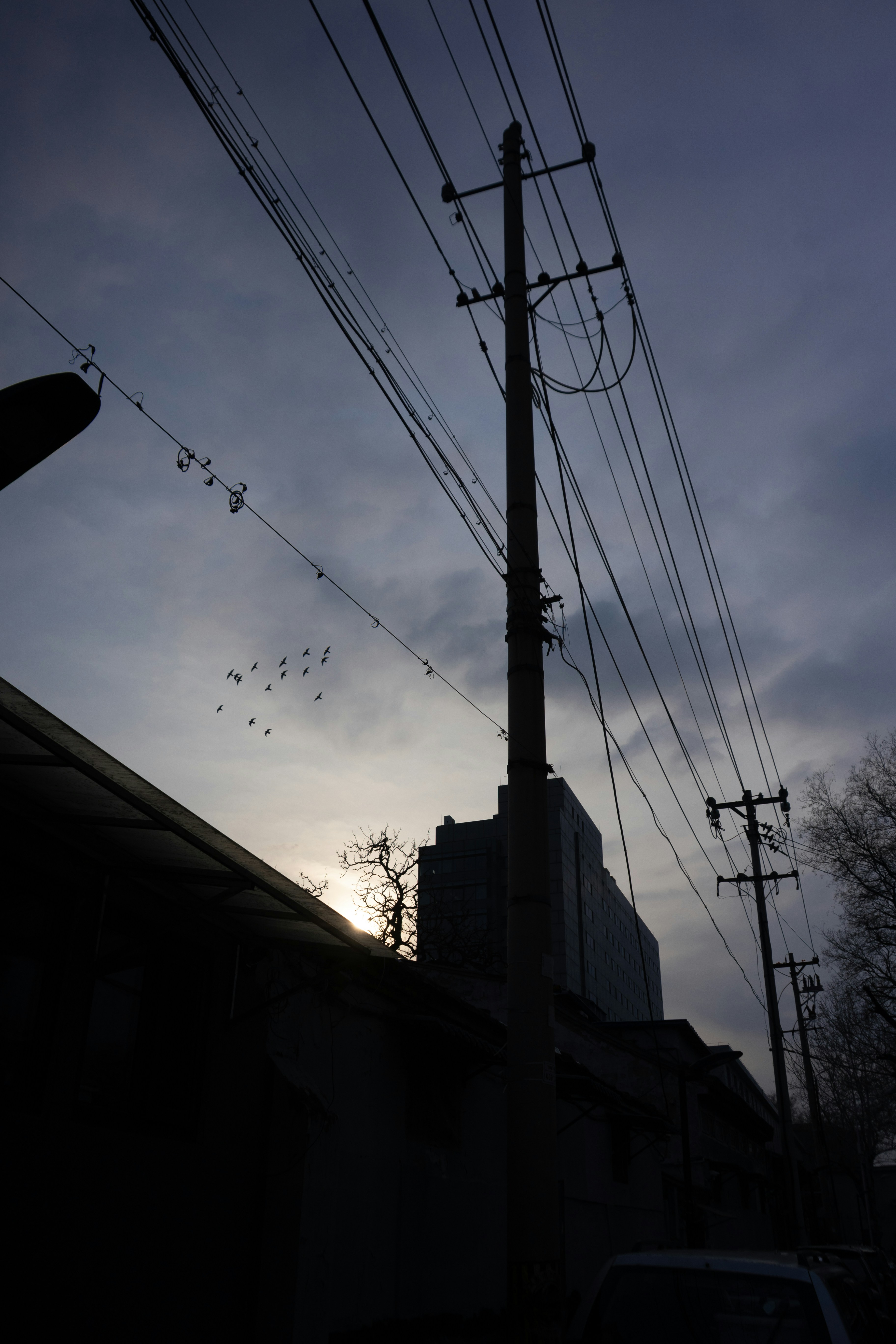 Silhouetted Urban Lines at Dusk