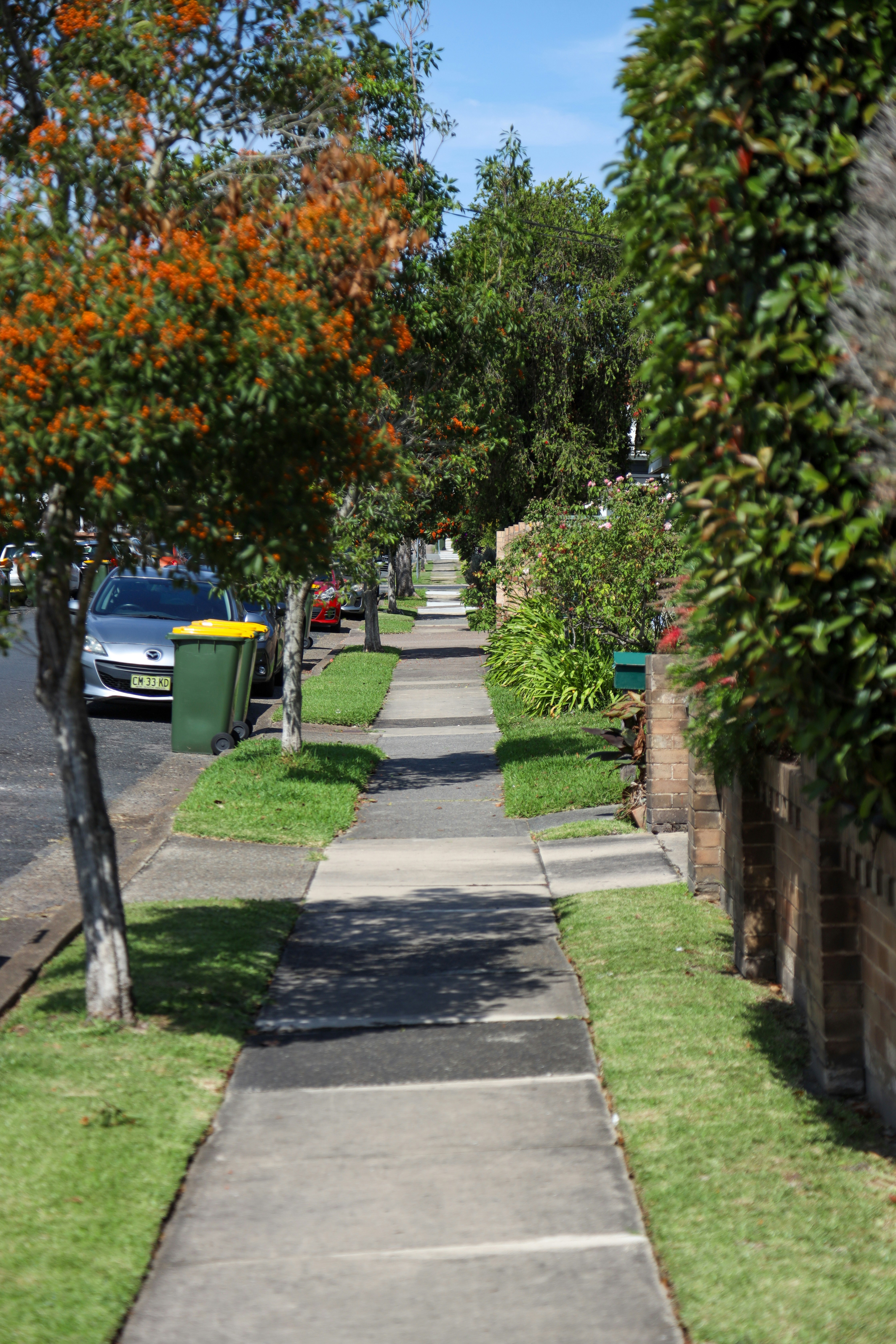 A Sunlit Sidewalk Path Through a Quiet Suburban Street