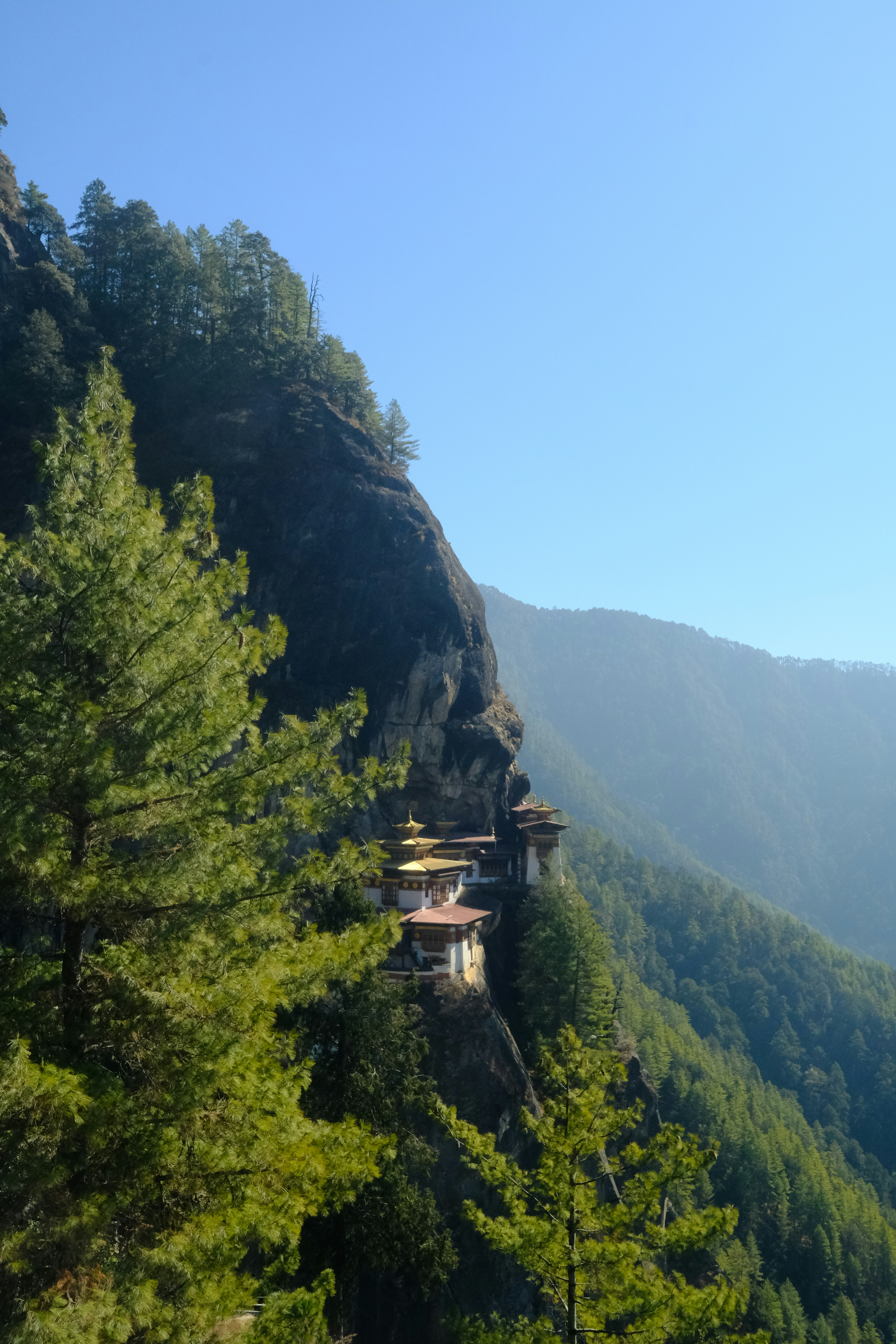 Temple Cliffs: a ridge-side monastery peeks from pine-clad cliffs