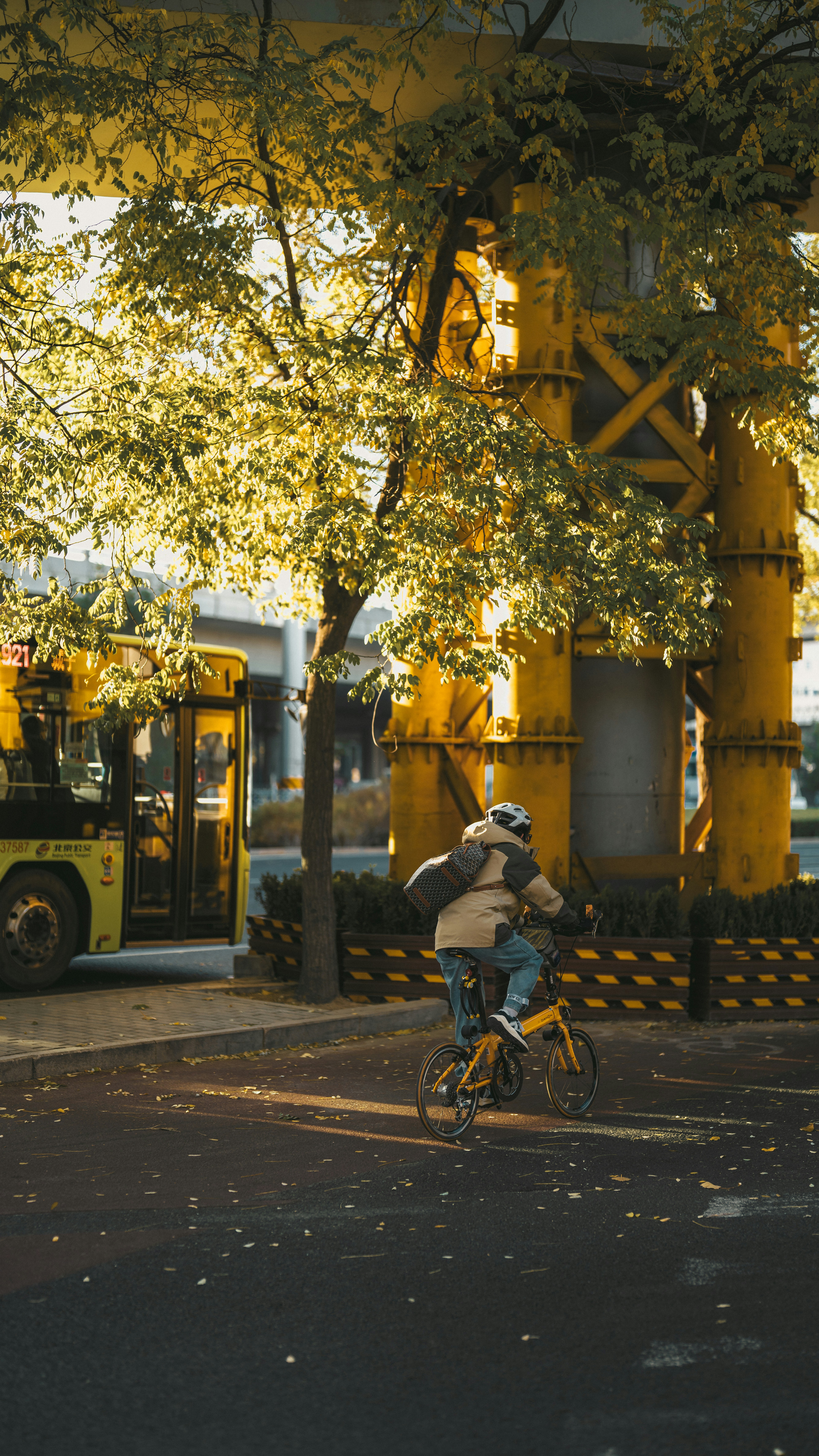 Cyclist in Focus Under Urban Golden Canopy