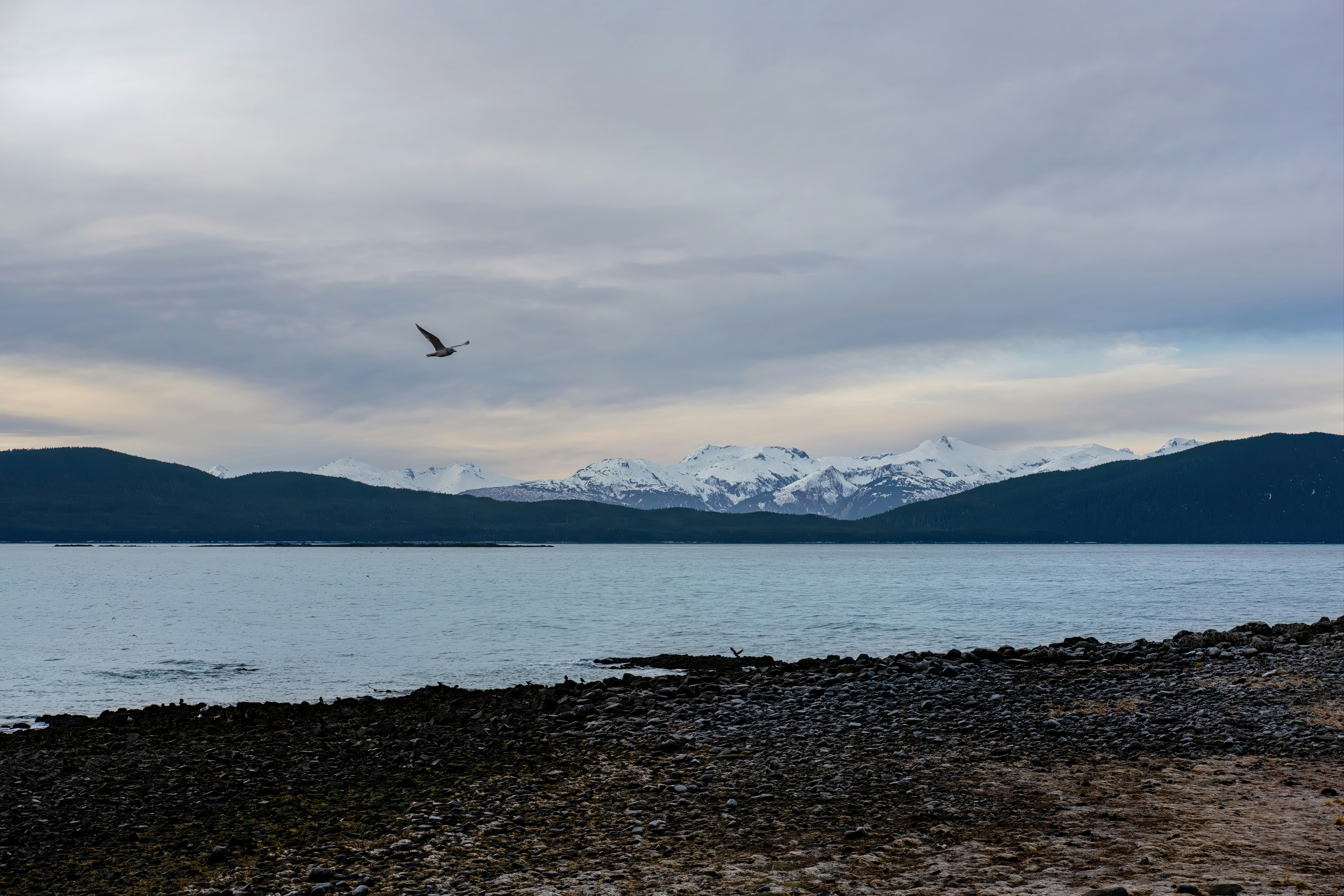 Misty Snowdome Over a Pebble Shore