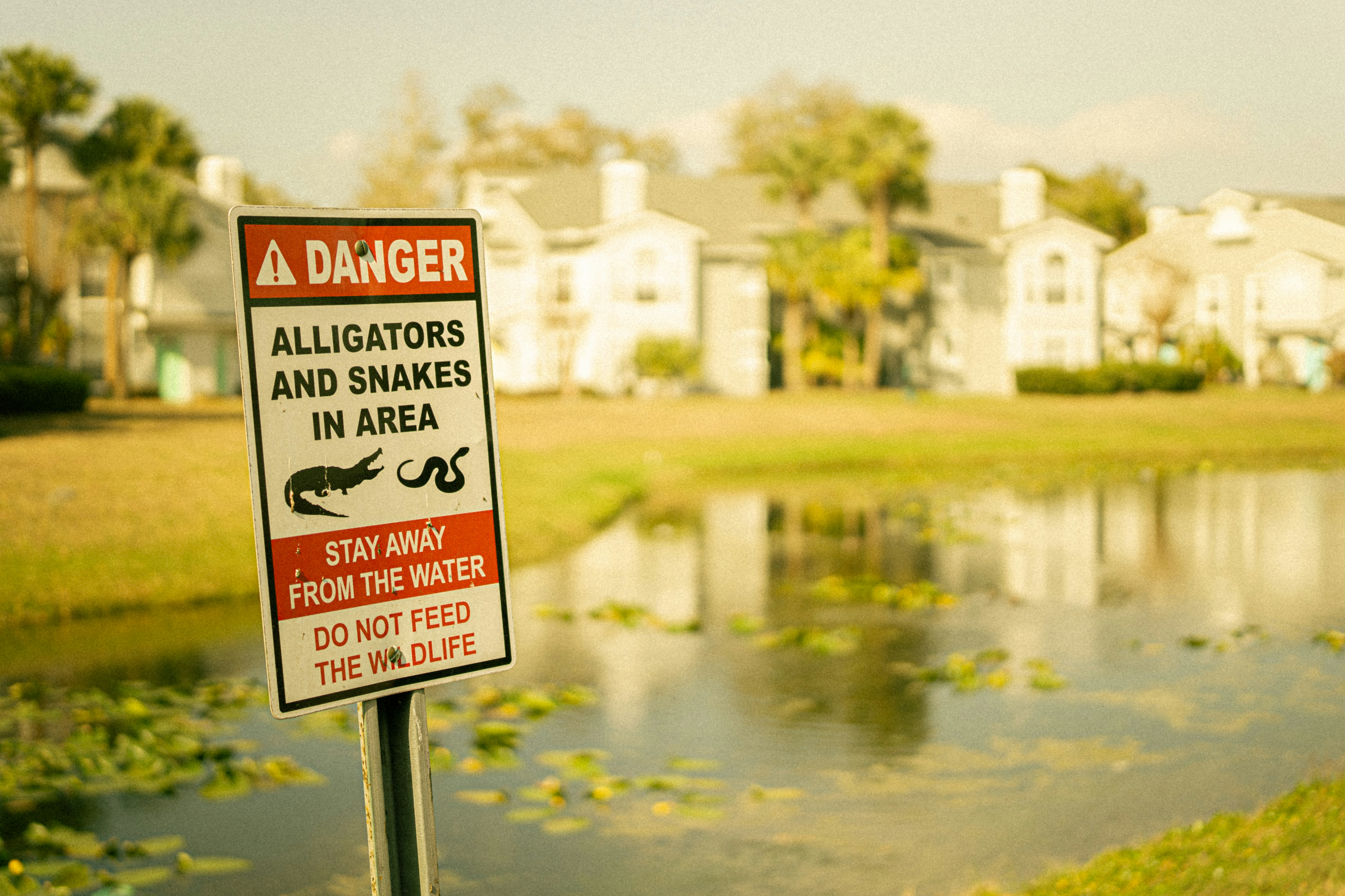 Danger sign warns of alligators and snakes near water.