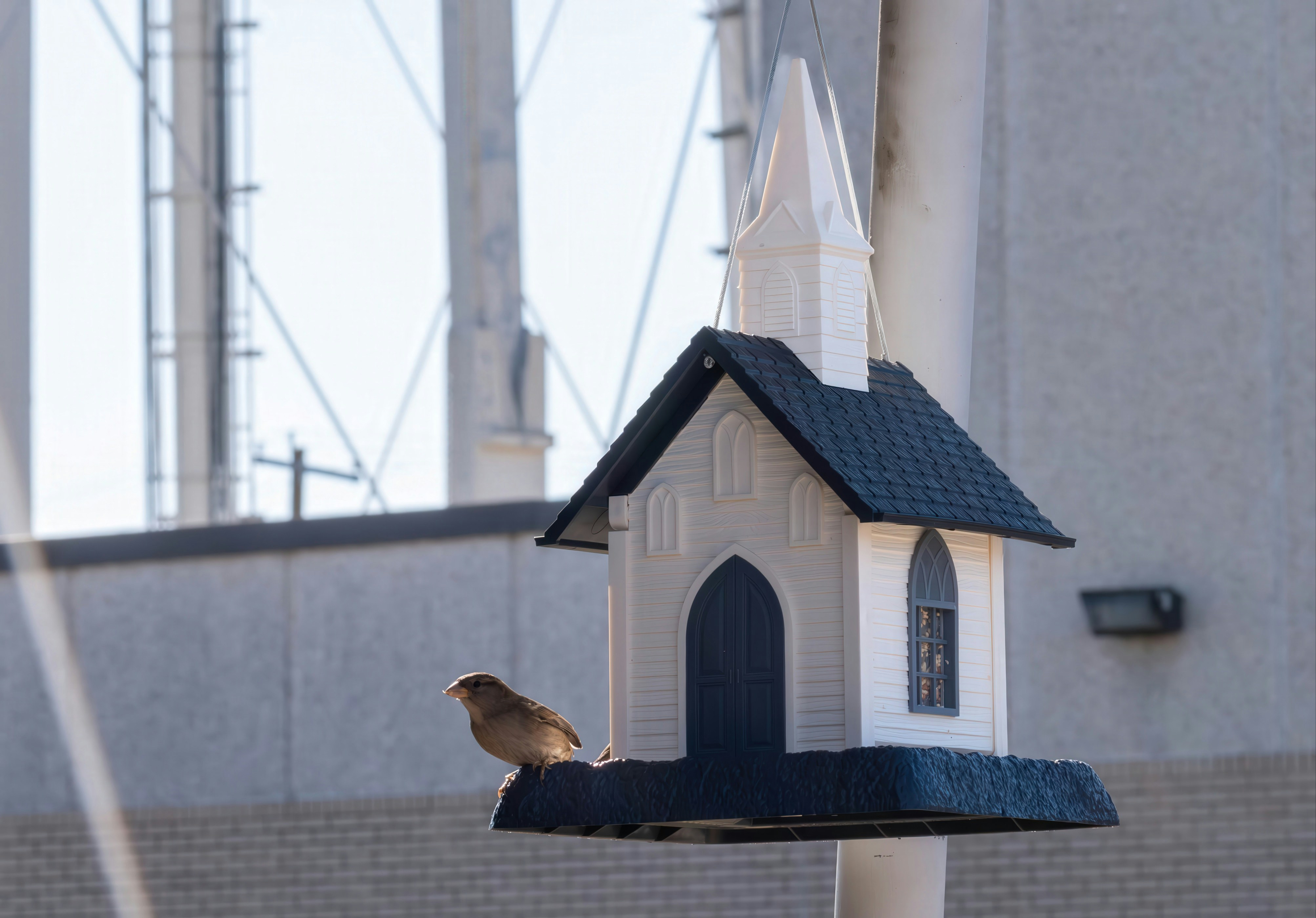 Bird on a Little Church: A Tiny Life Steady on a Miniature Steeple