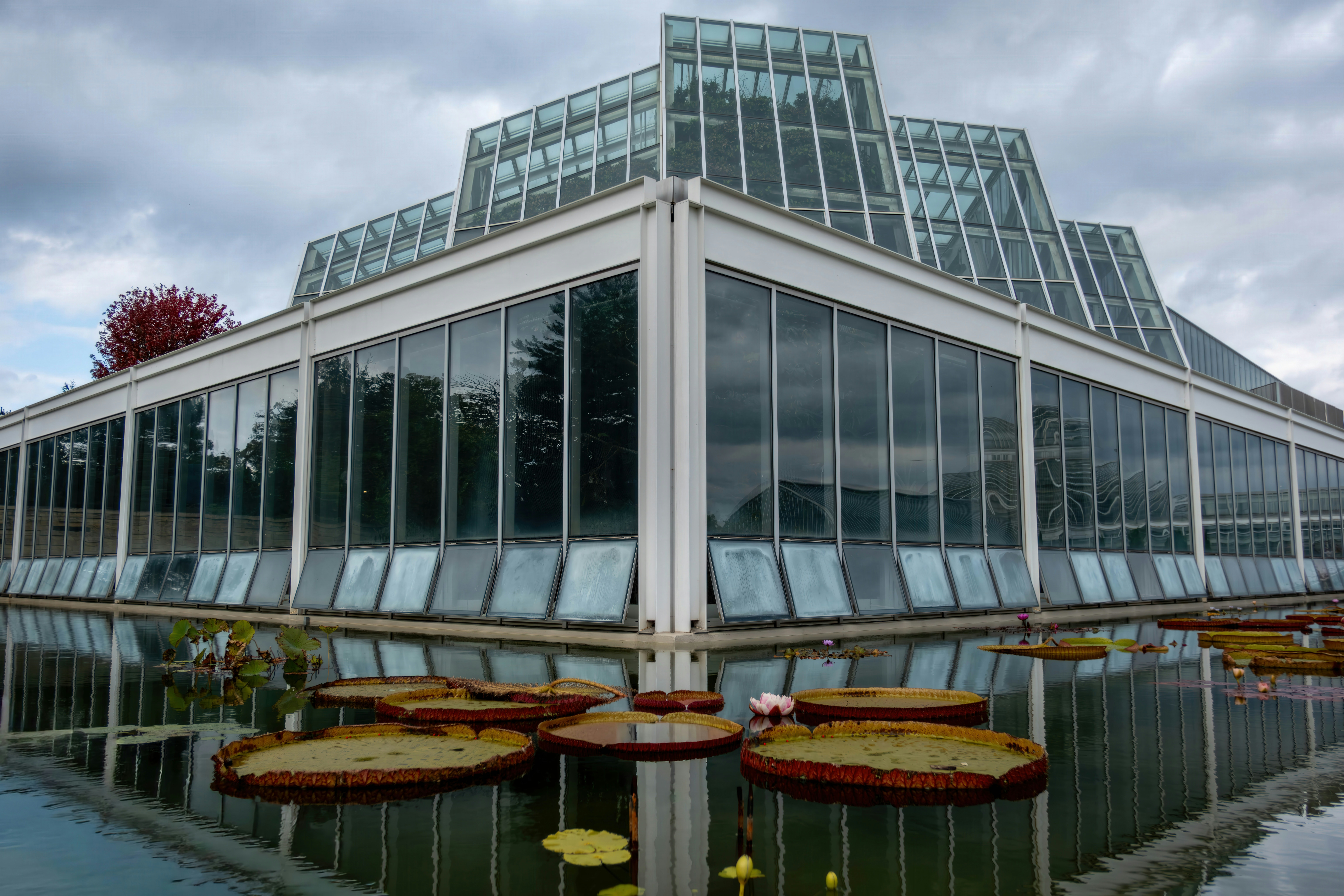 Glass Conservatory on Still Water: A Modern Prism Rising from the Pond