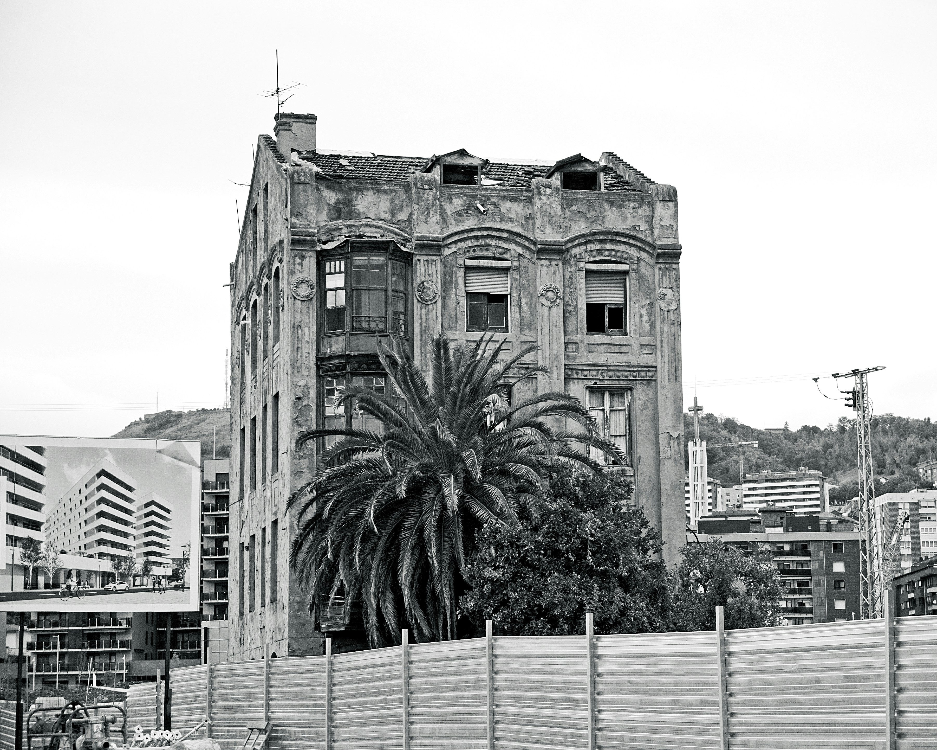Deserted facade: a weathered building framed by palm and construction barriers
