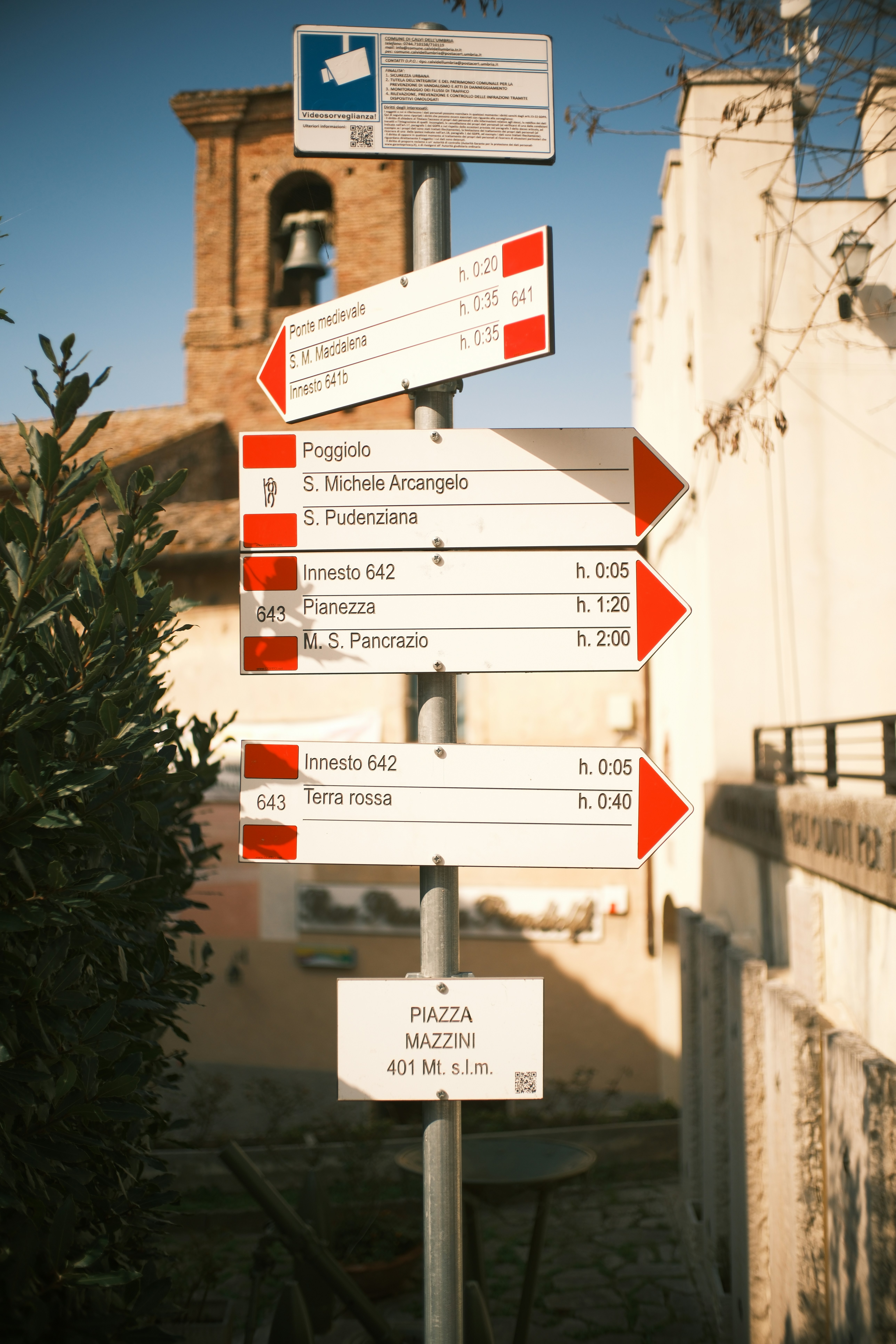 Direction Lines: A Sunlit Signpost Guiding Footpaths