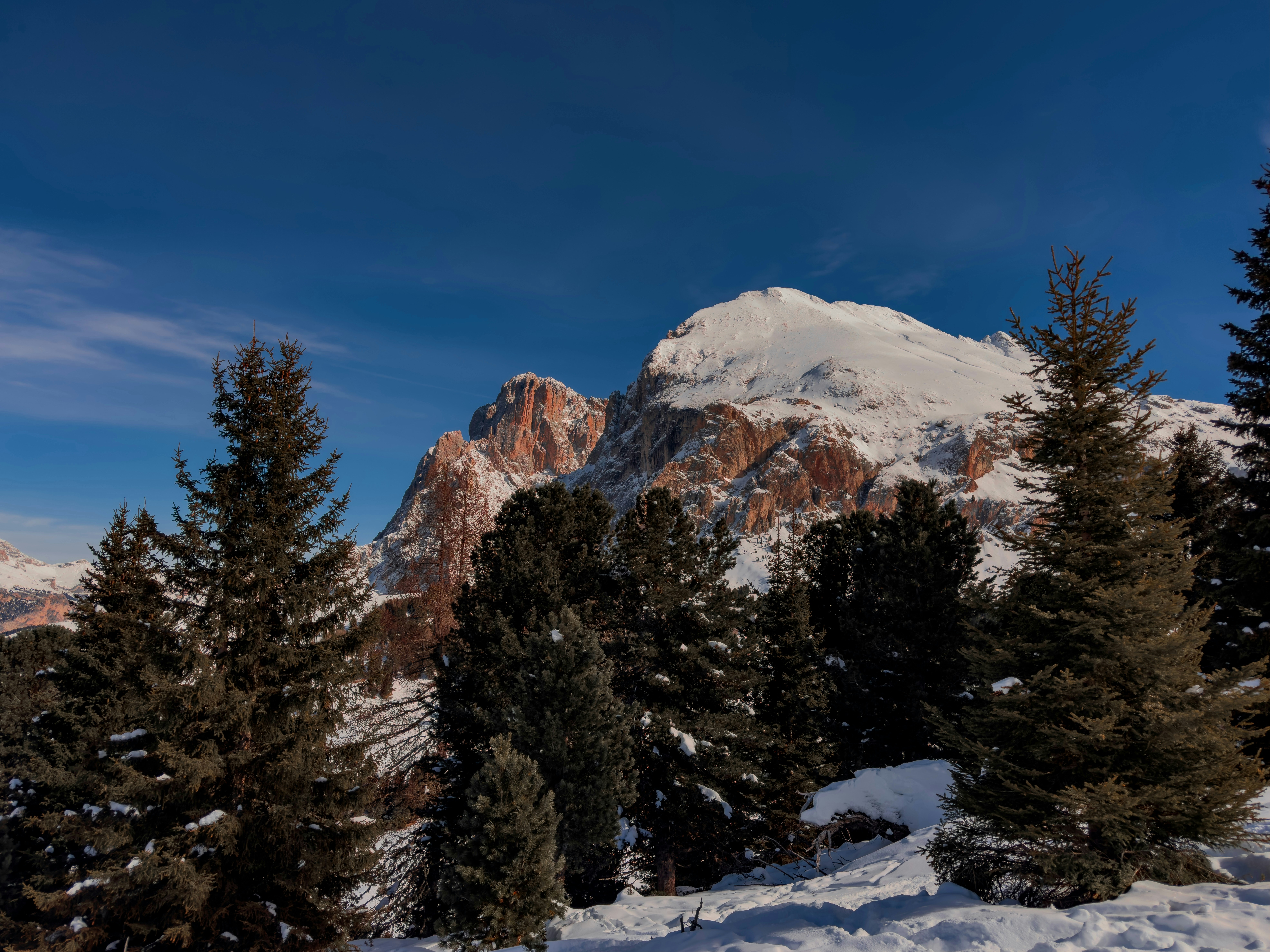 Snow-capped Peak Rising Behind a Forest of Pines