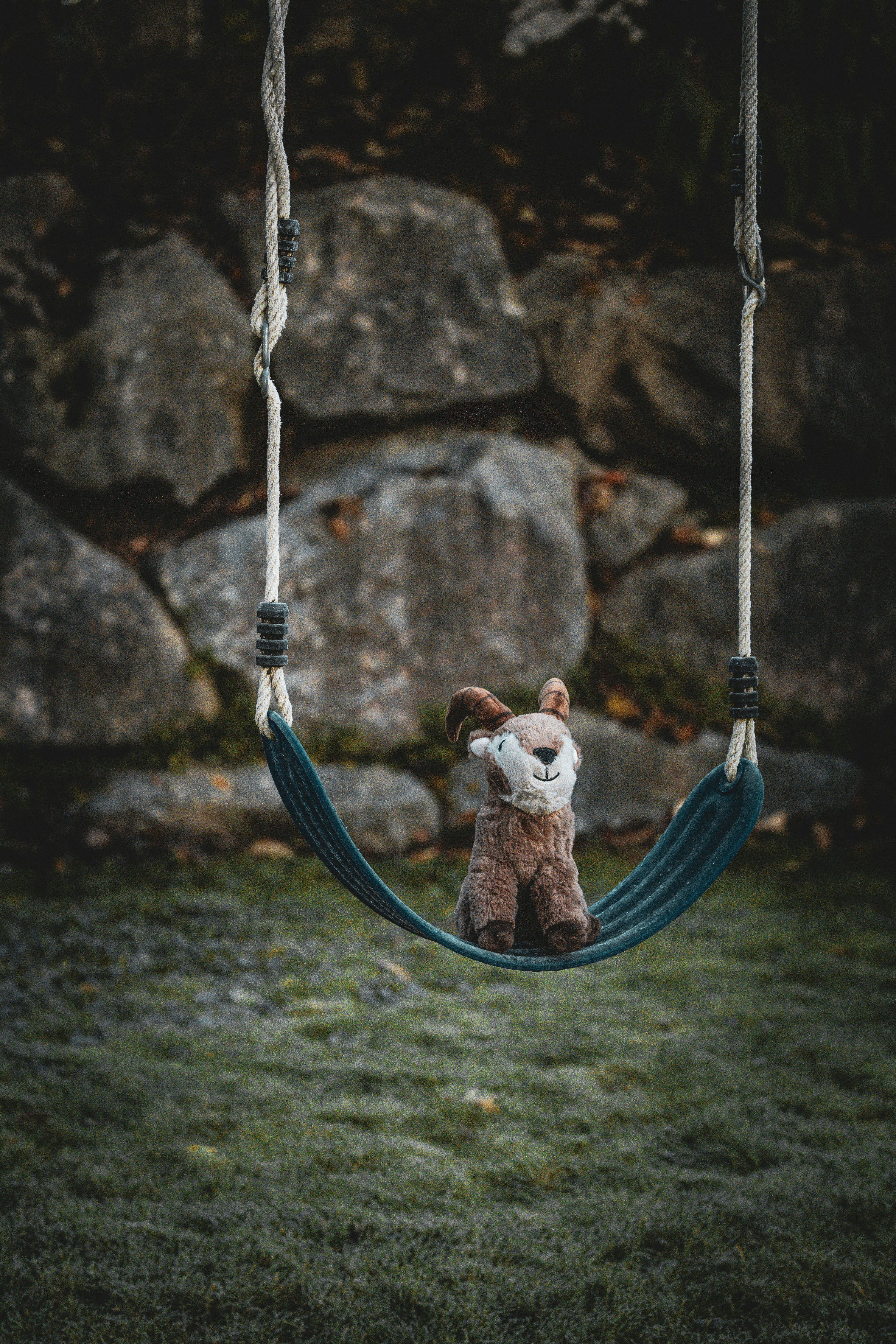 Quiet Ground, Hidden Joy: Plush Sentry on a Swing