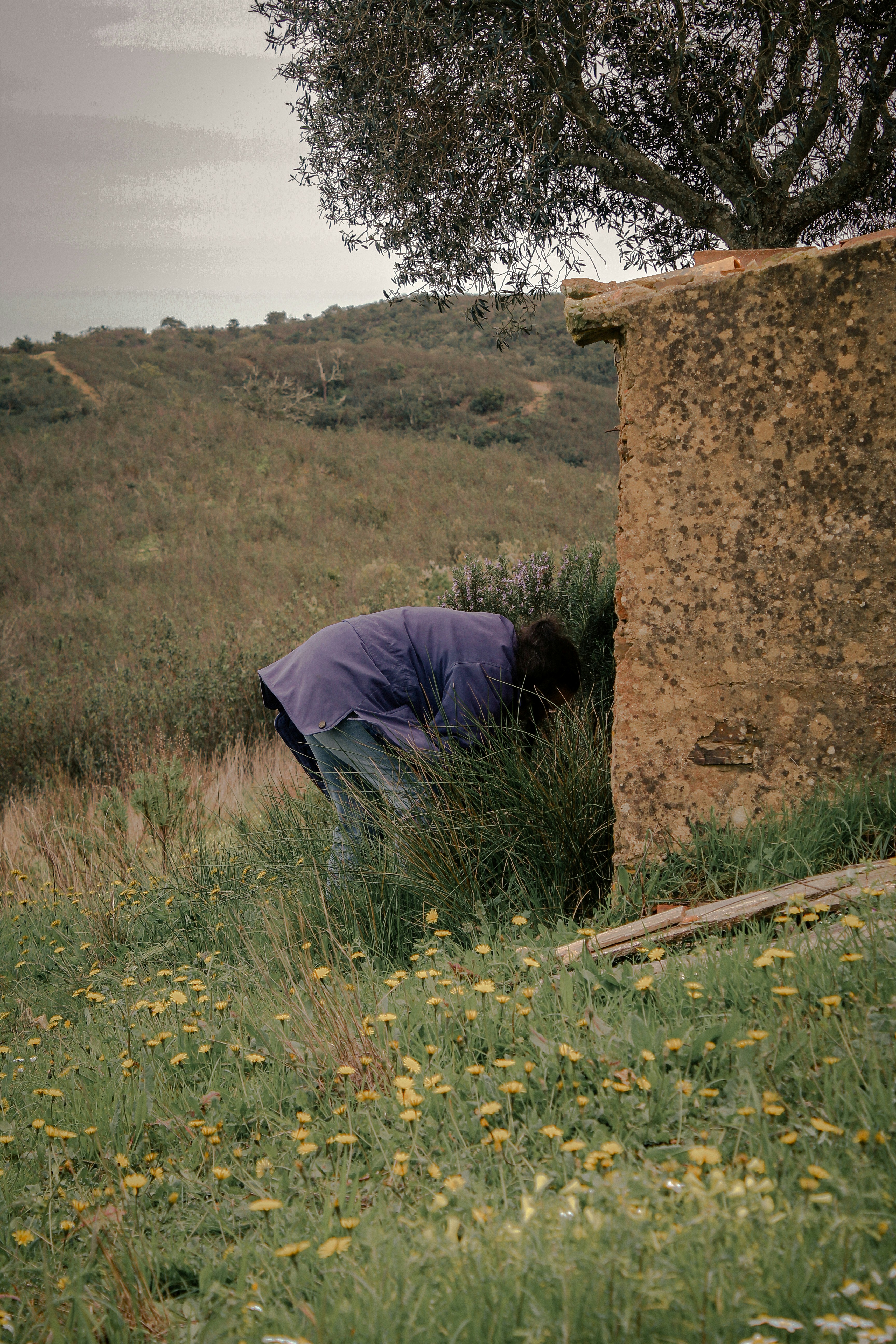 Secretive Figure by the Ruined Wall in the Meadow