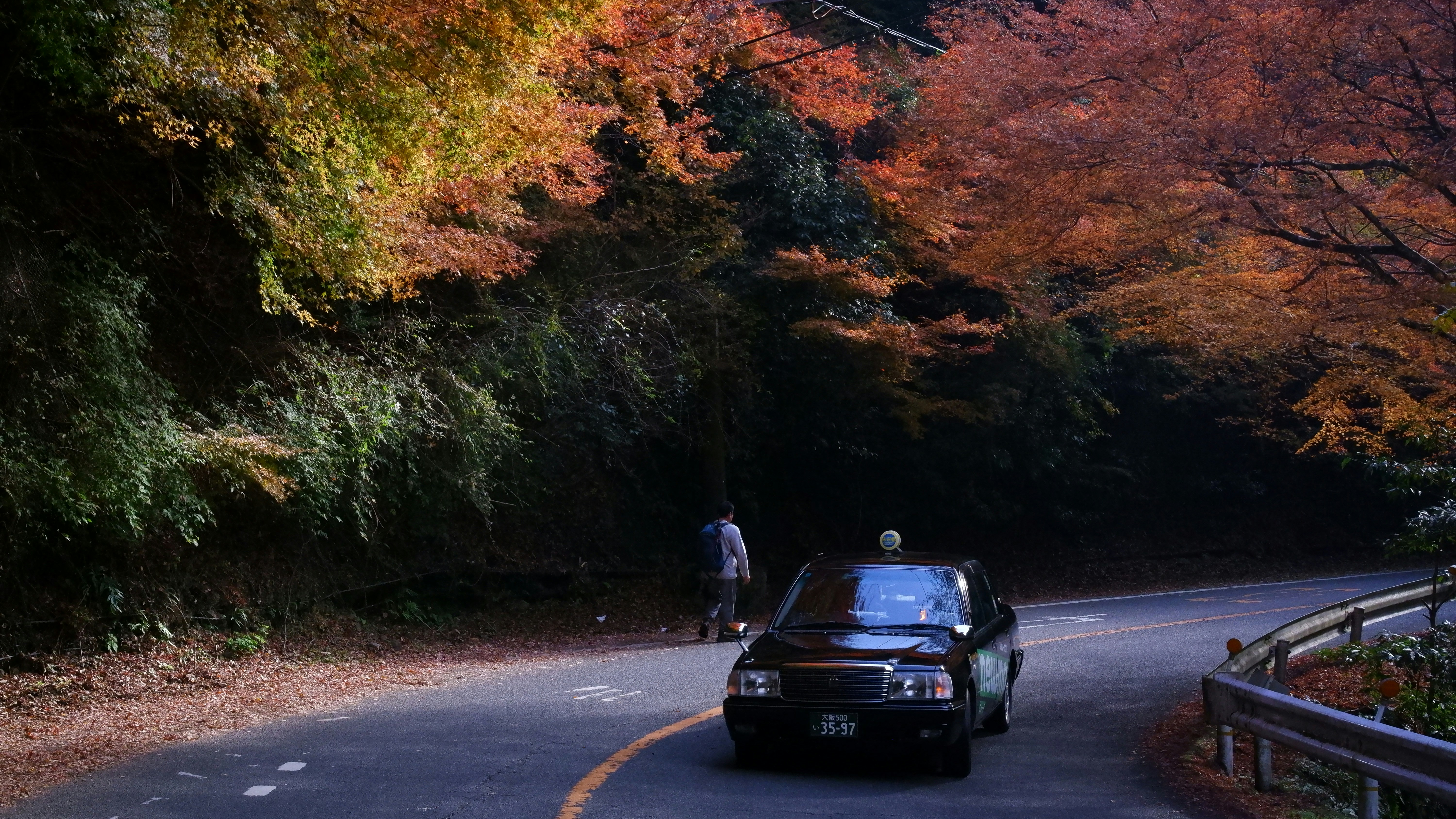 Autumn Road Stroll Meets a Moving Car