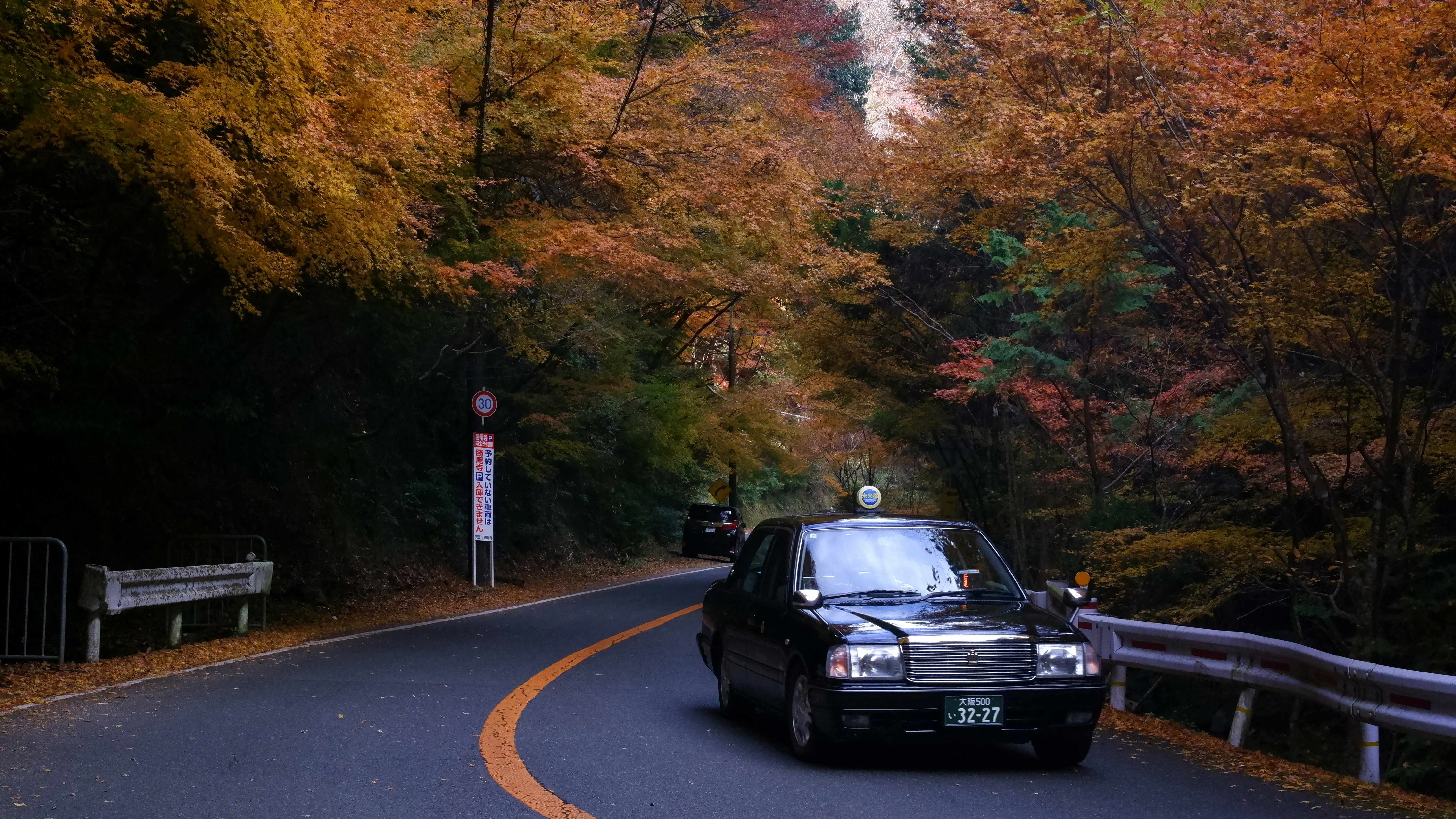 Autumn Roadway: A Lone Taxi Descends a Winding Orchard-Color Corridor