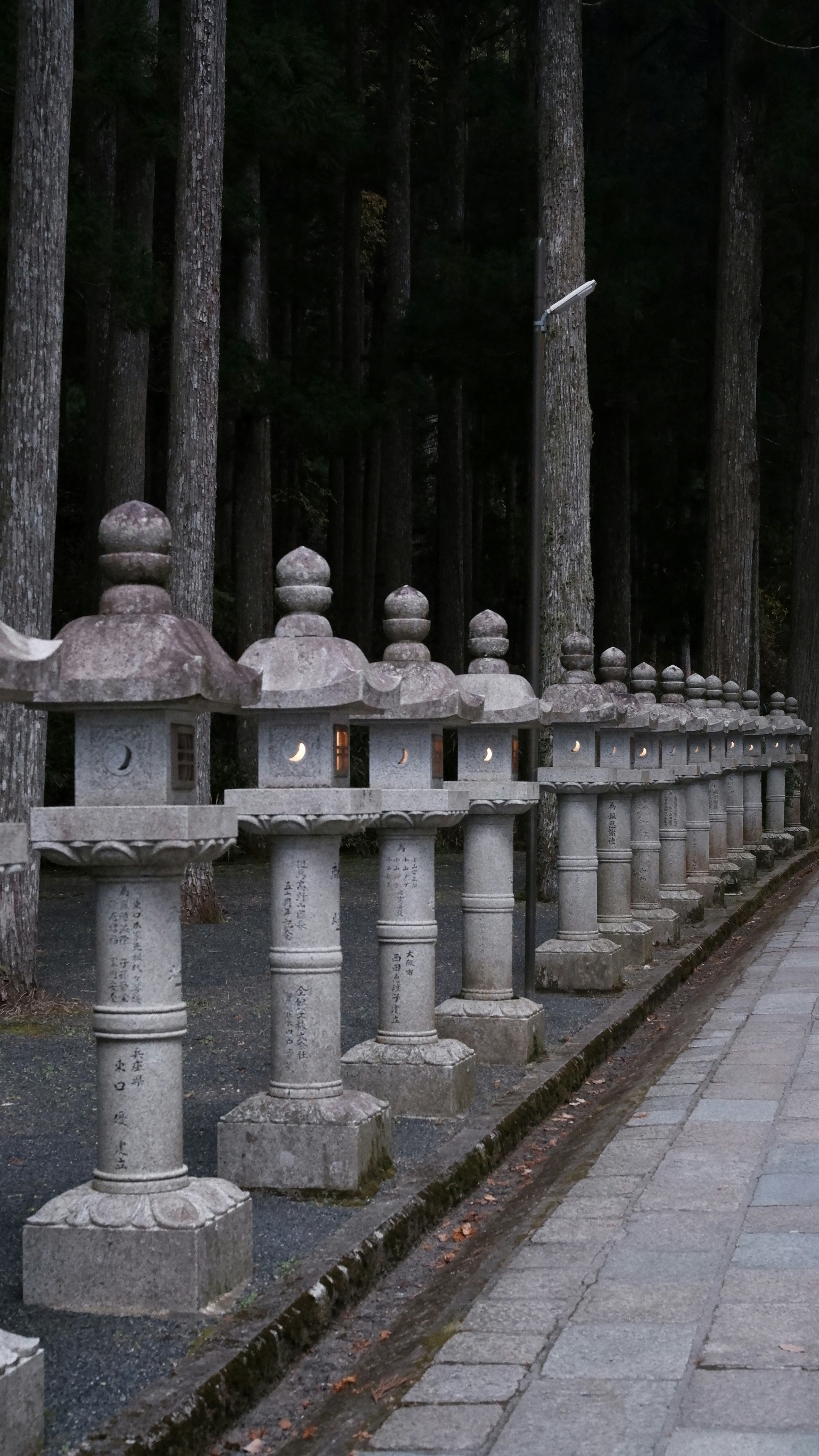 Lined Guardian Statues Fade into Moonlit Woods