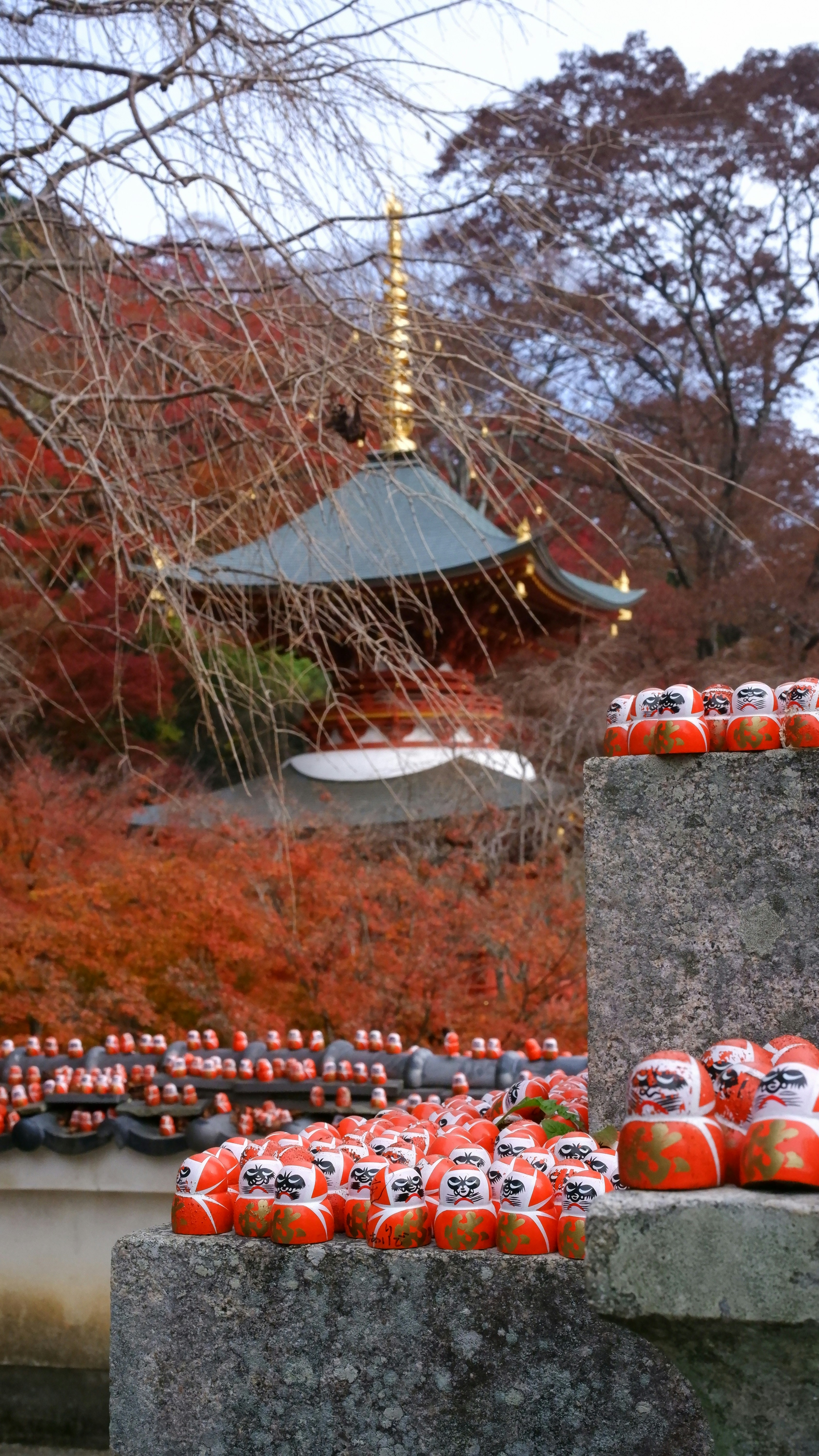 Row of Daruma Lanterns Framing a Serene Temple Courtyard in Autumn