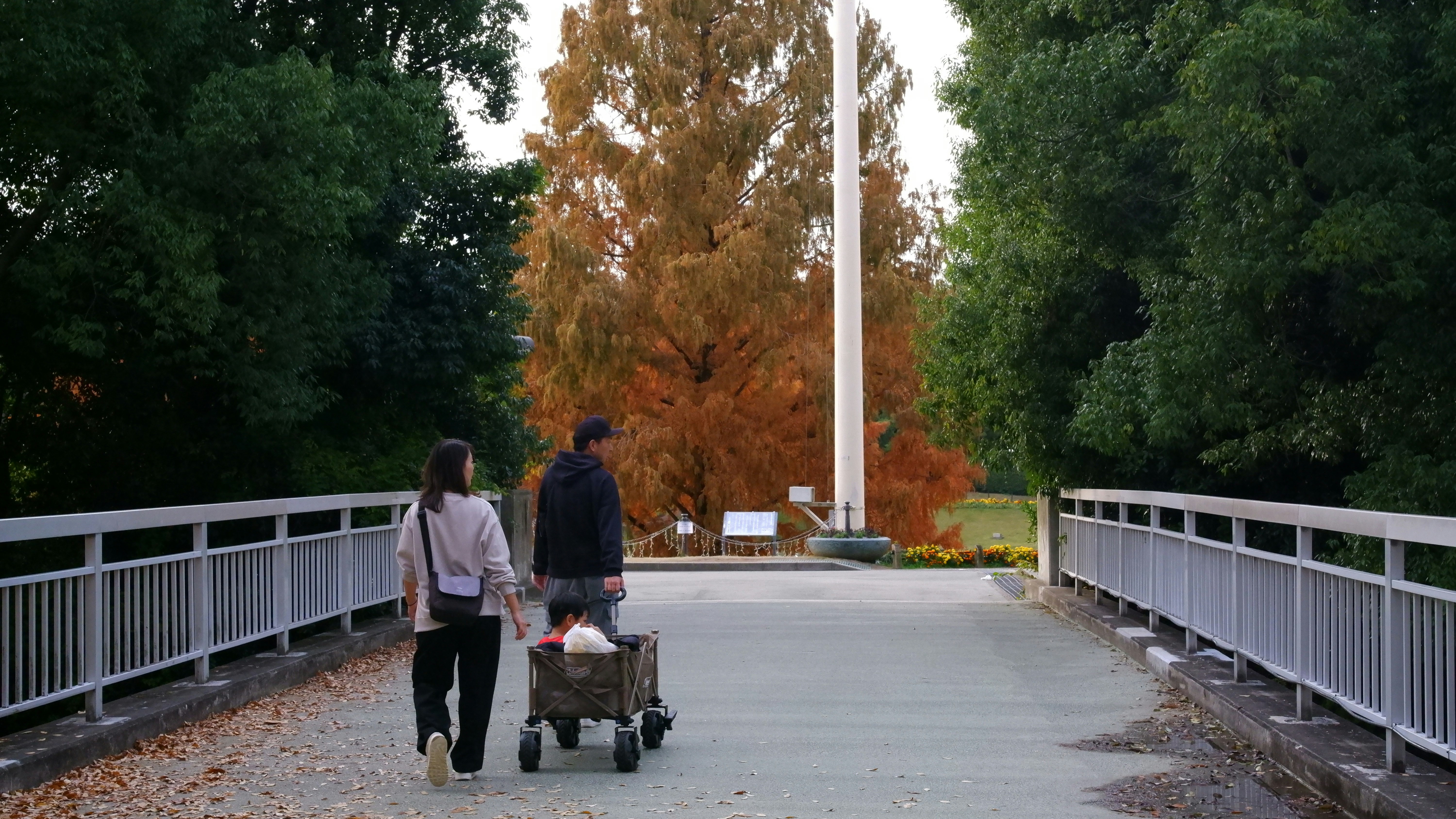 A Quiet Walk Across Autumn-Colored Bridge