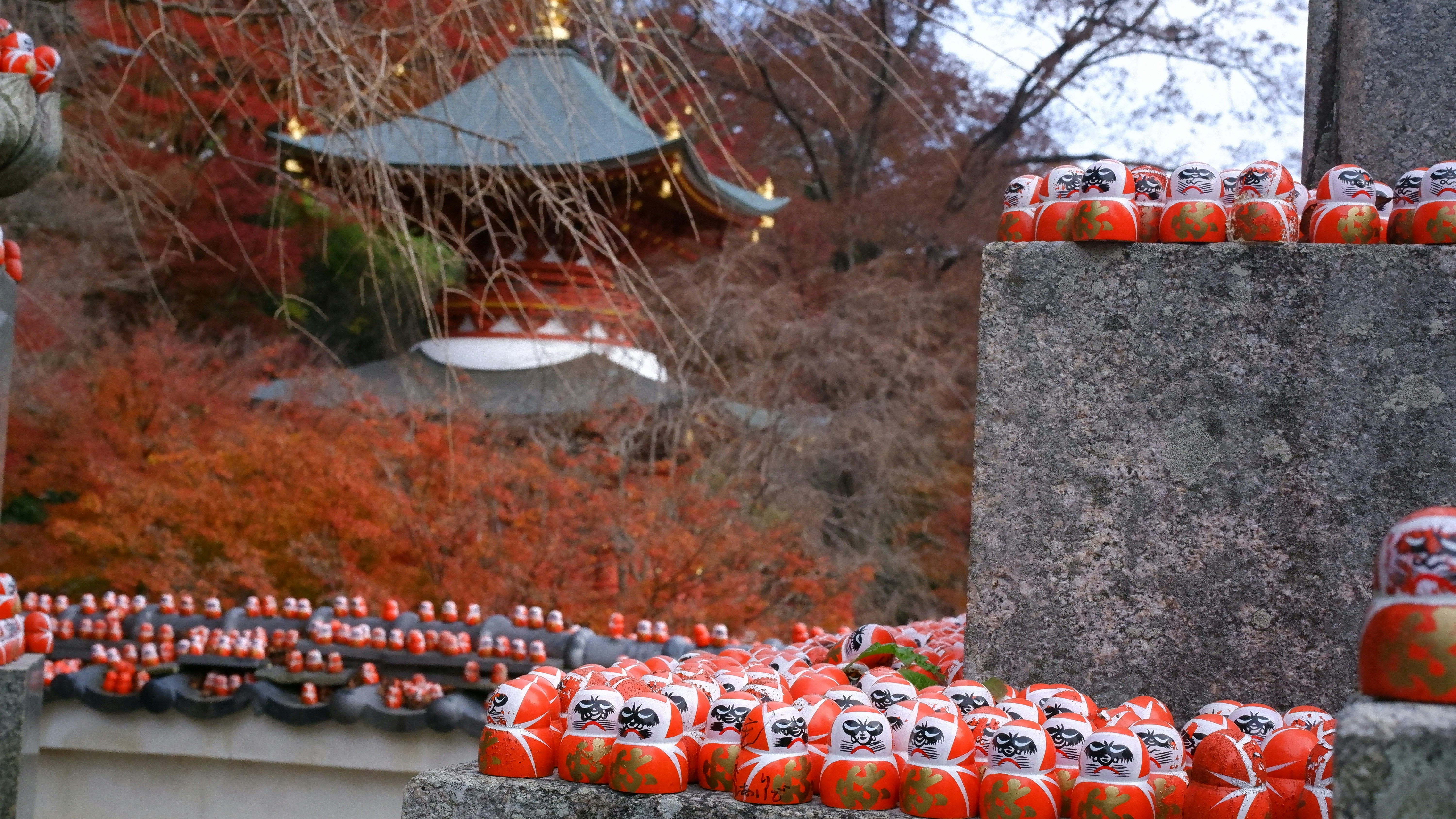 Matryoshka Row: Deserted Path of Orange Cheer in the Shrine Garden