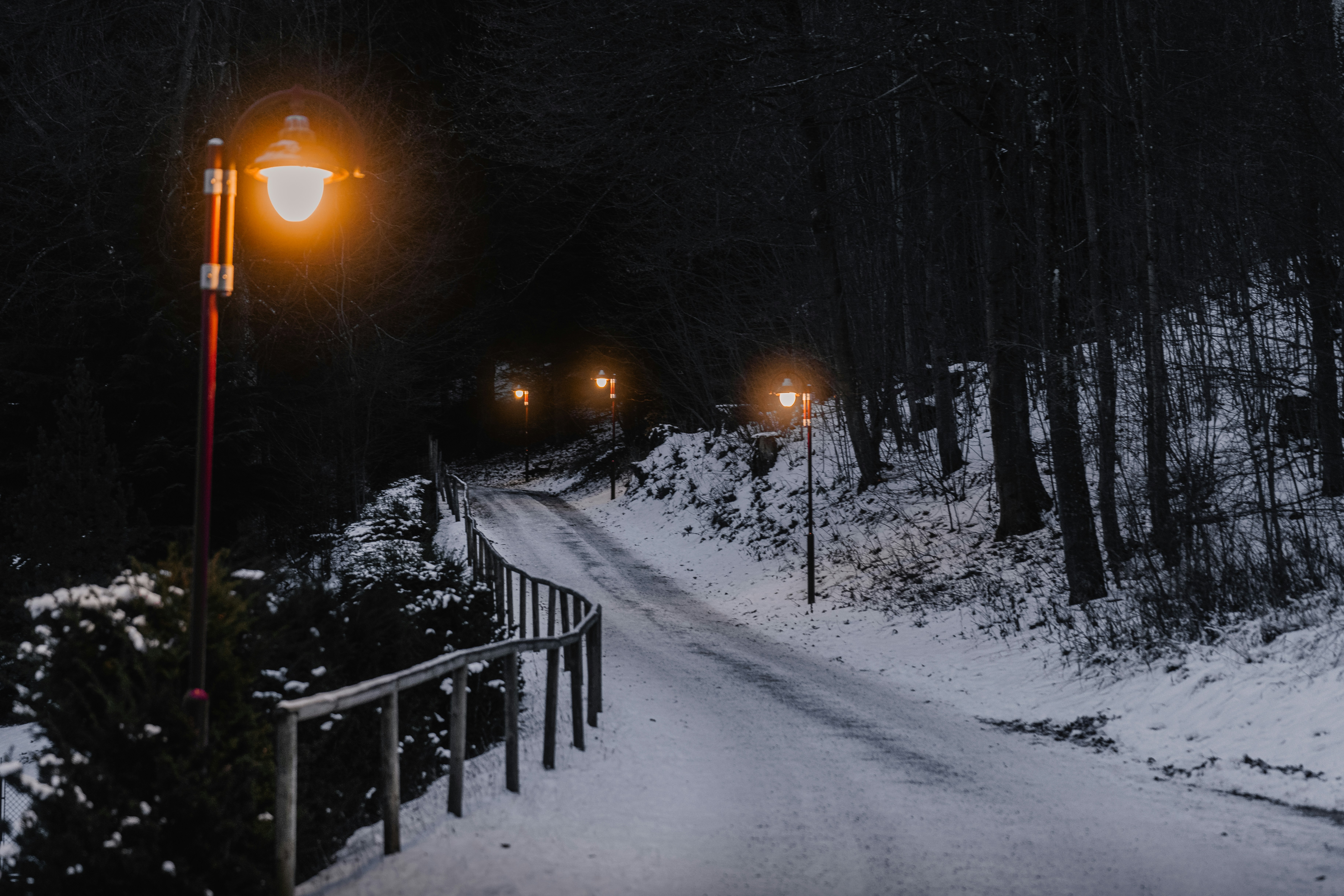 Snow-lit Pathway Through an Illumed Forest