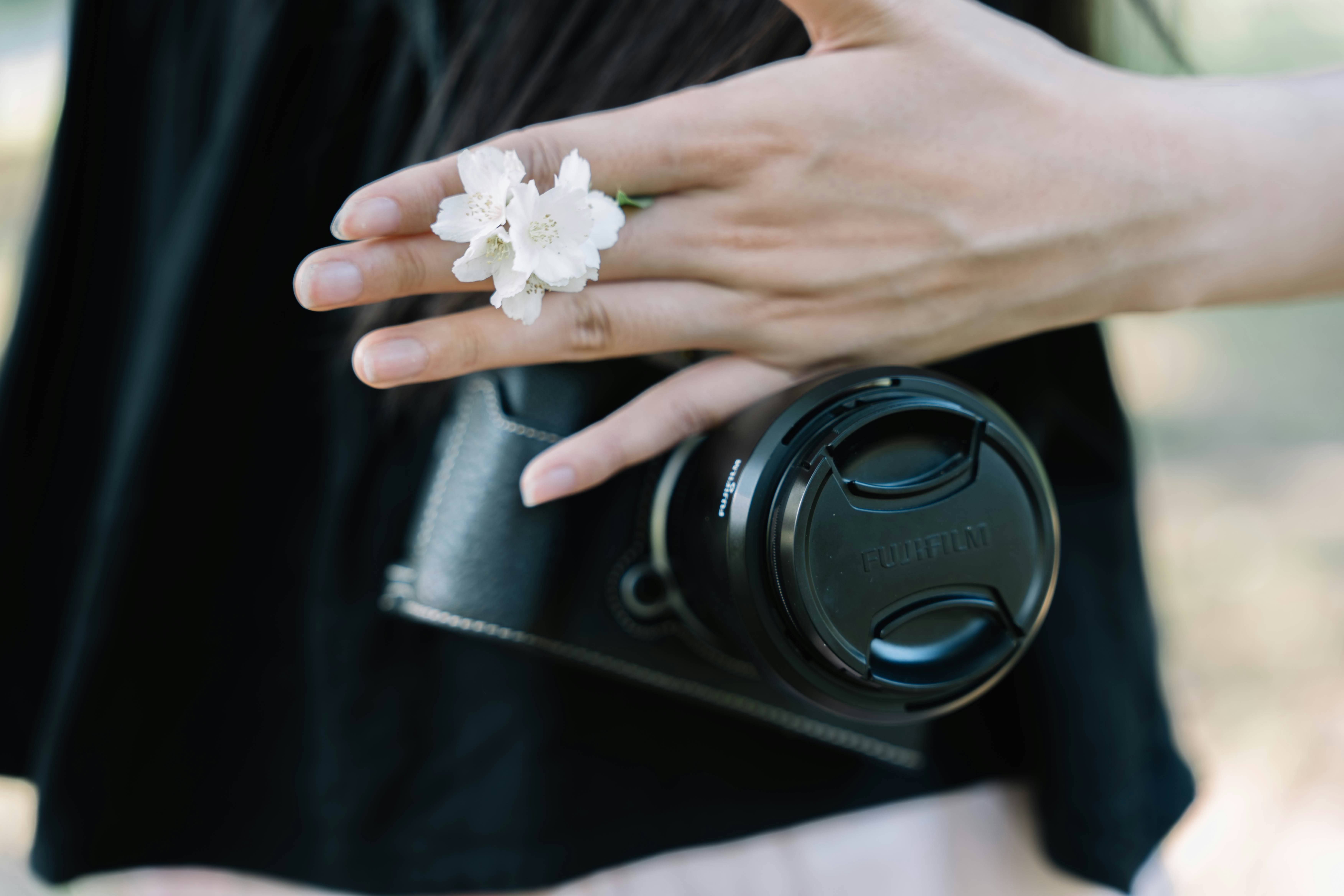 A Handful of Petals: A Lens-Filled Moment with Subtle Bloom