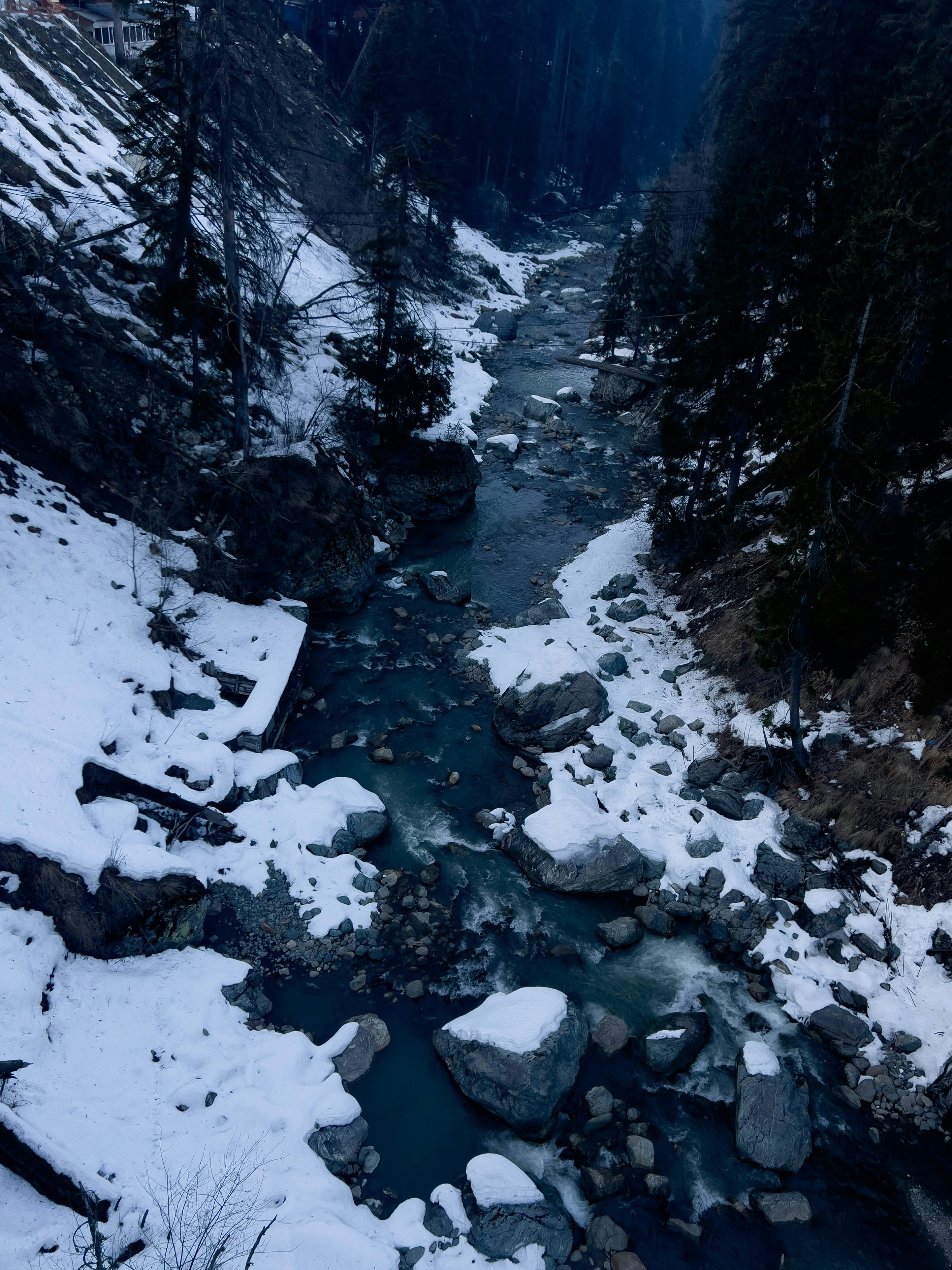 Snowbound Gorge: A Glacier Creek Winding Through Steep Pines