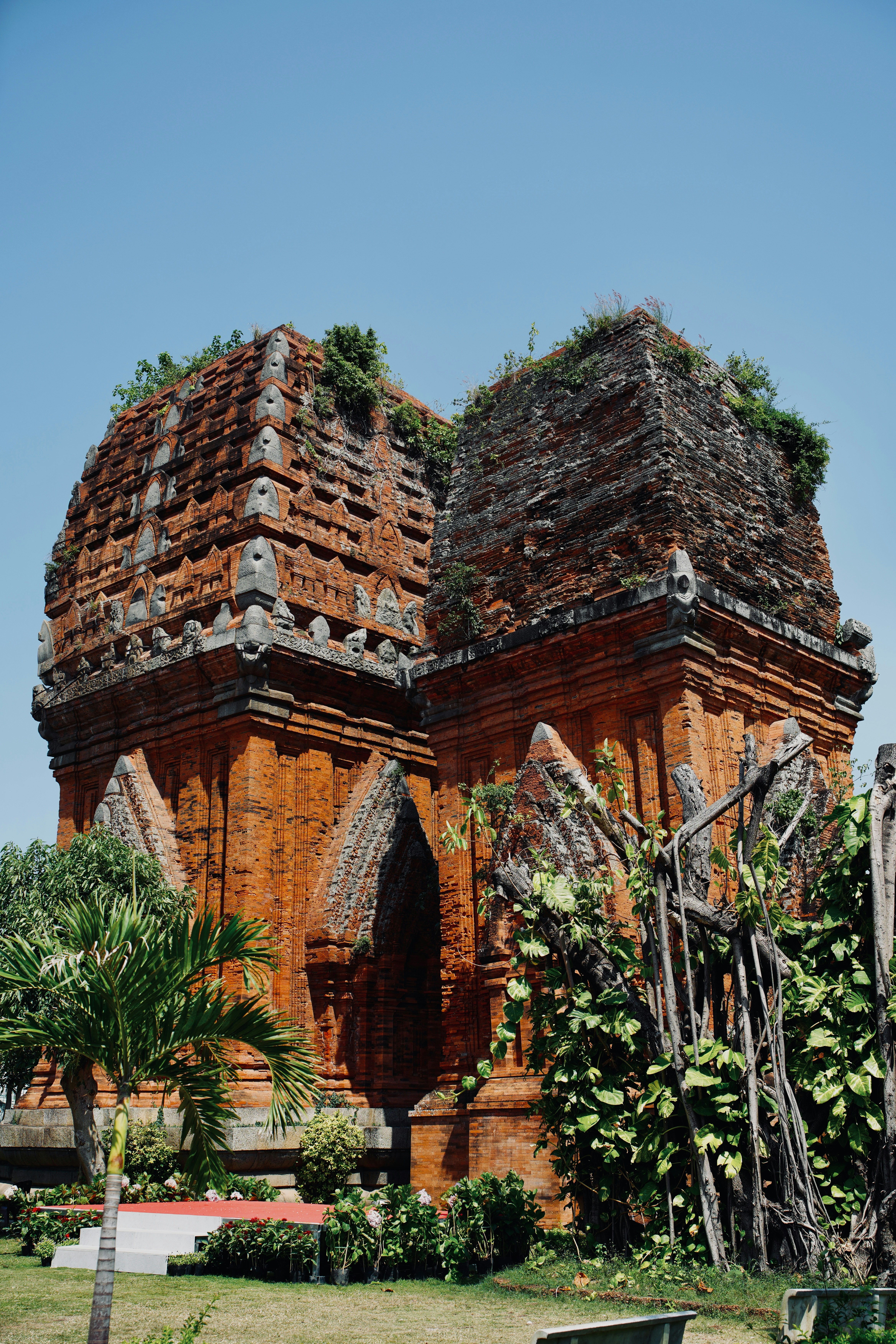 Ruins of Crimson Towers: Brickwork and Vines Reclaim a Temple