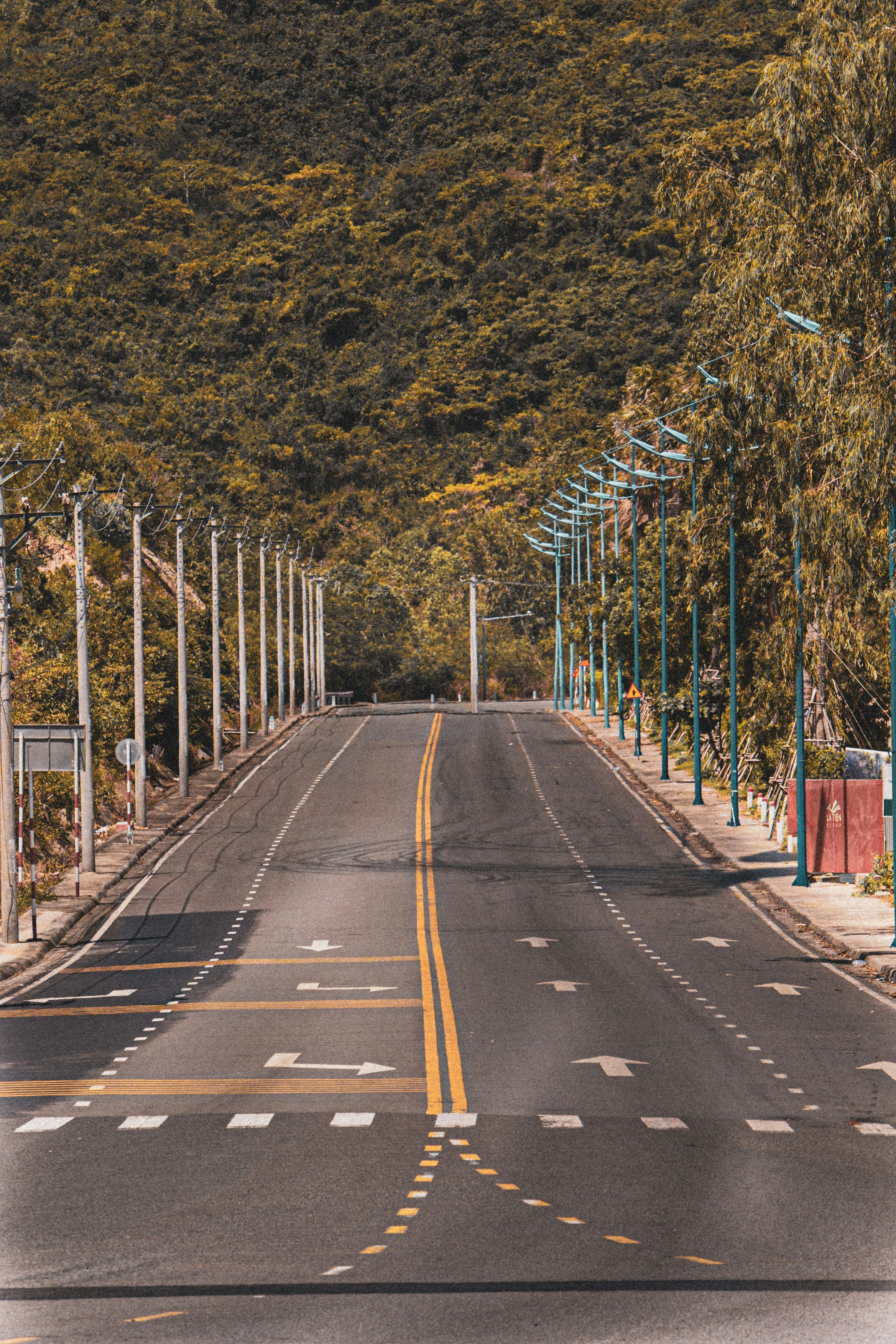 Deserted Avenue Bows Under Autumn Canopy