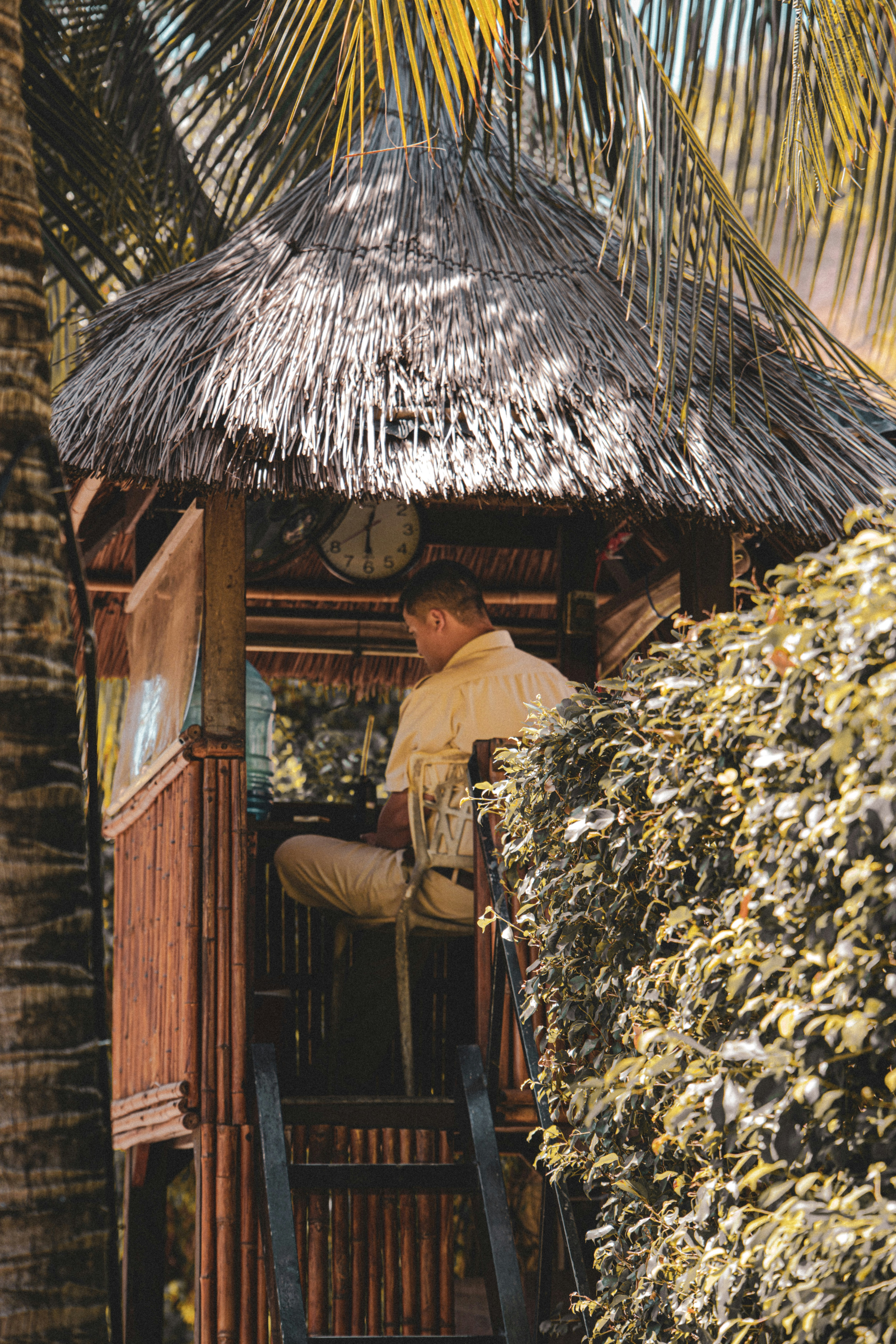 Inside the Hut: A Quiet Moment on a Palm-Shaded Staircase