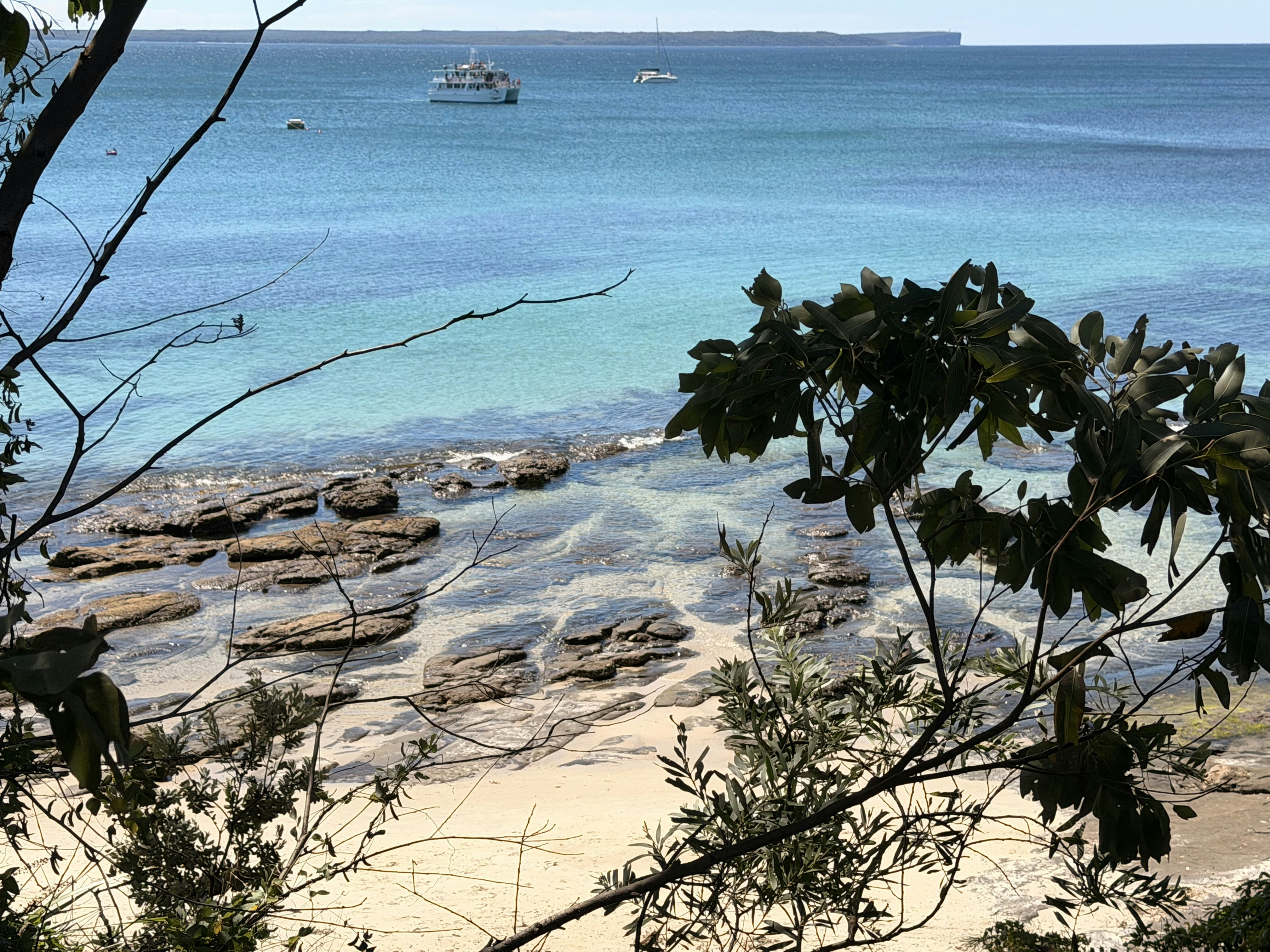Framing the Quiet Edge: Beach and Sea Through Drooping Foliage