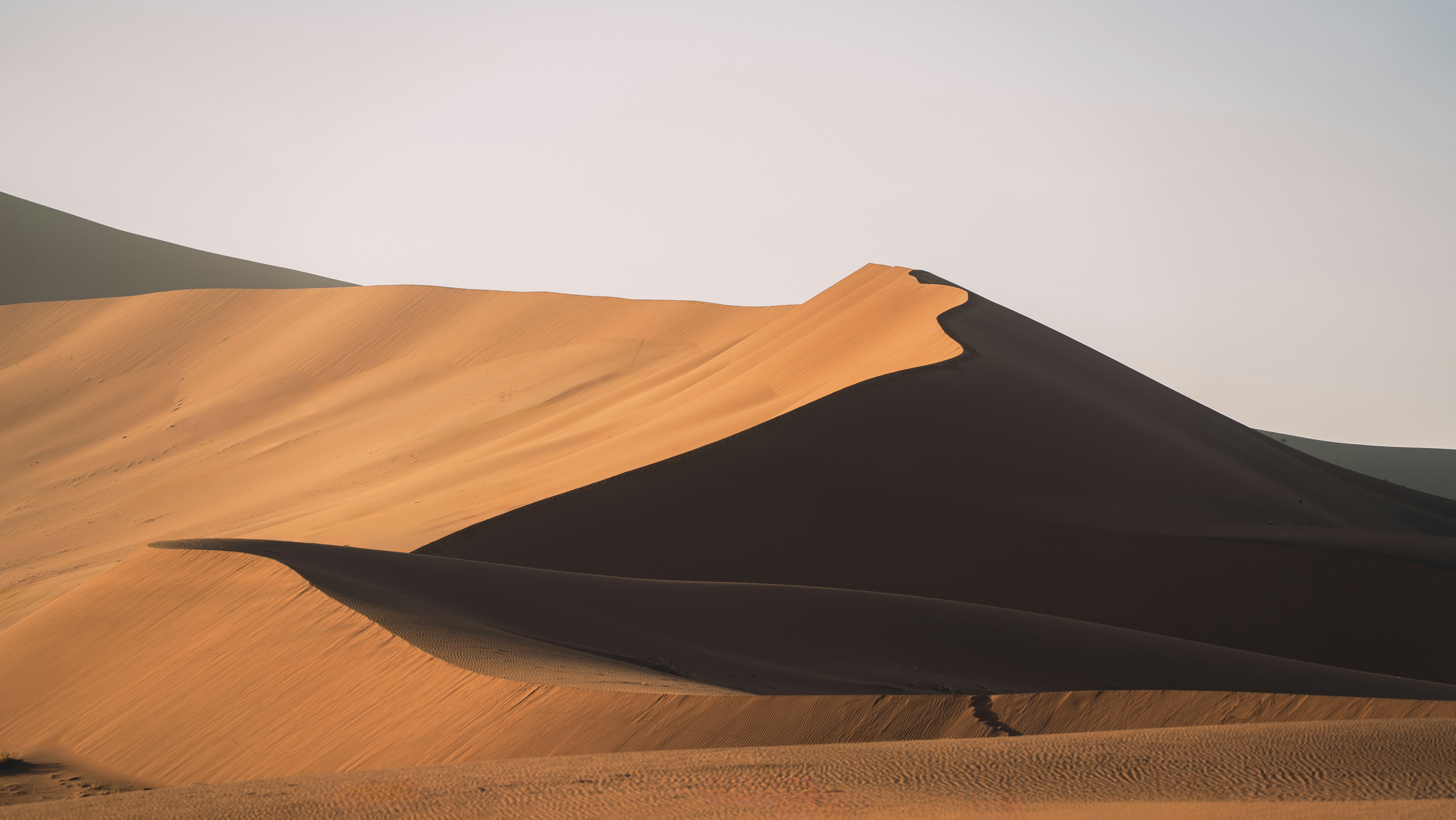 Golden Crest: A Quiet Ridge Over Silent Dunes