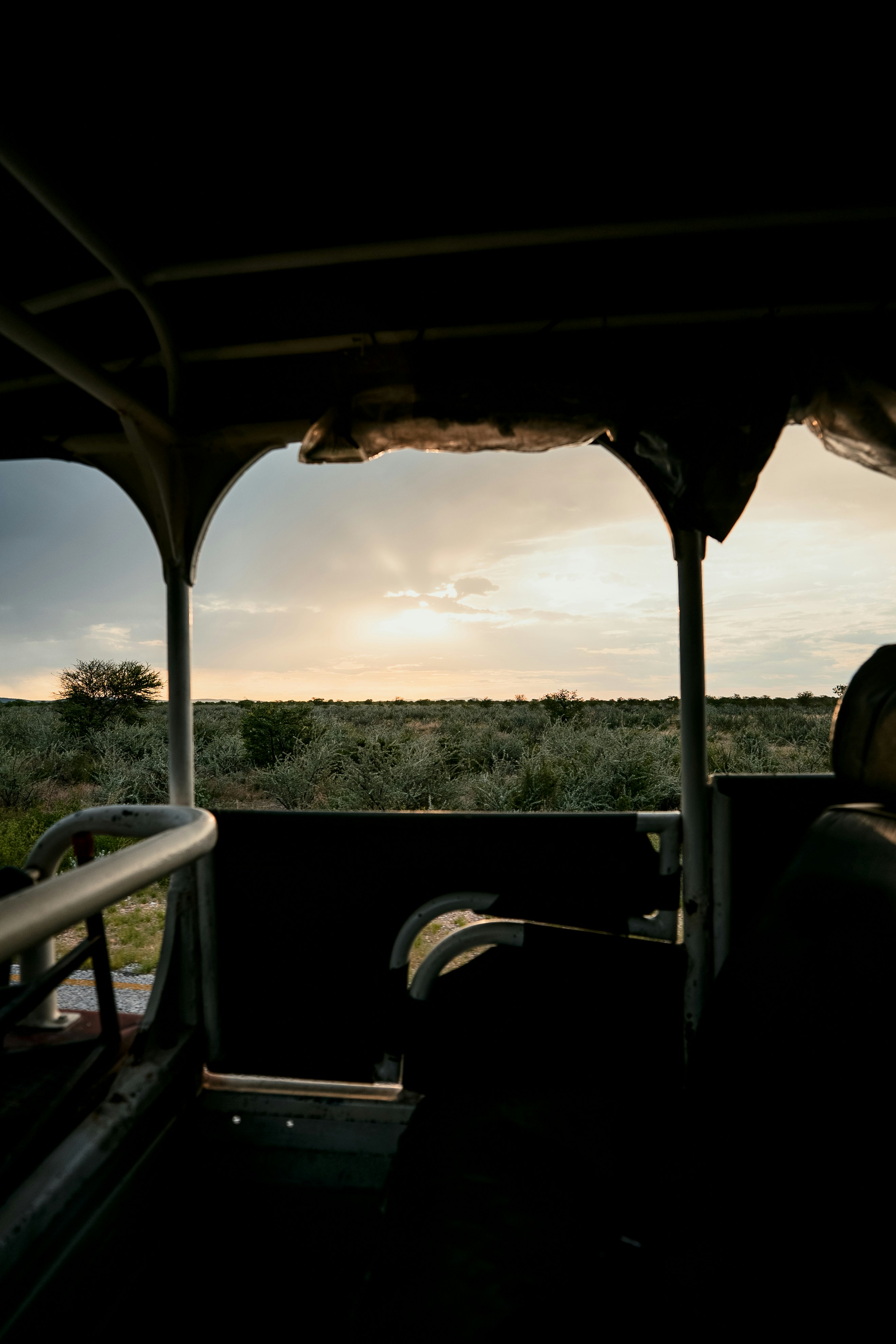 Sunlit Savannah Gap: A Quiet View from the Bus Frame
