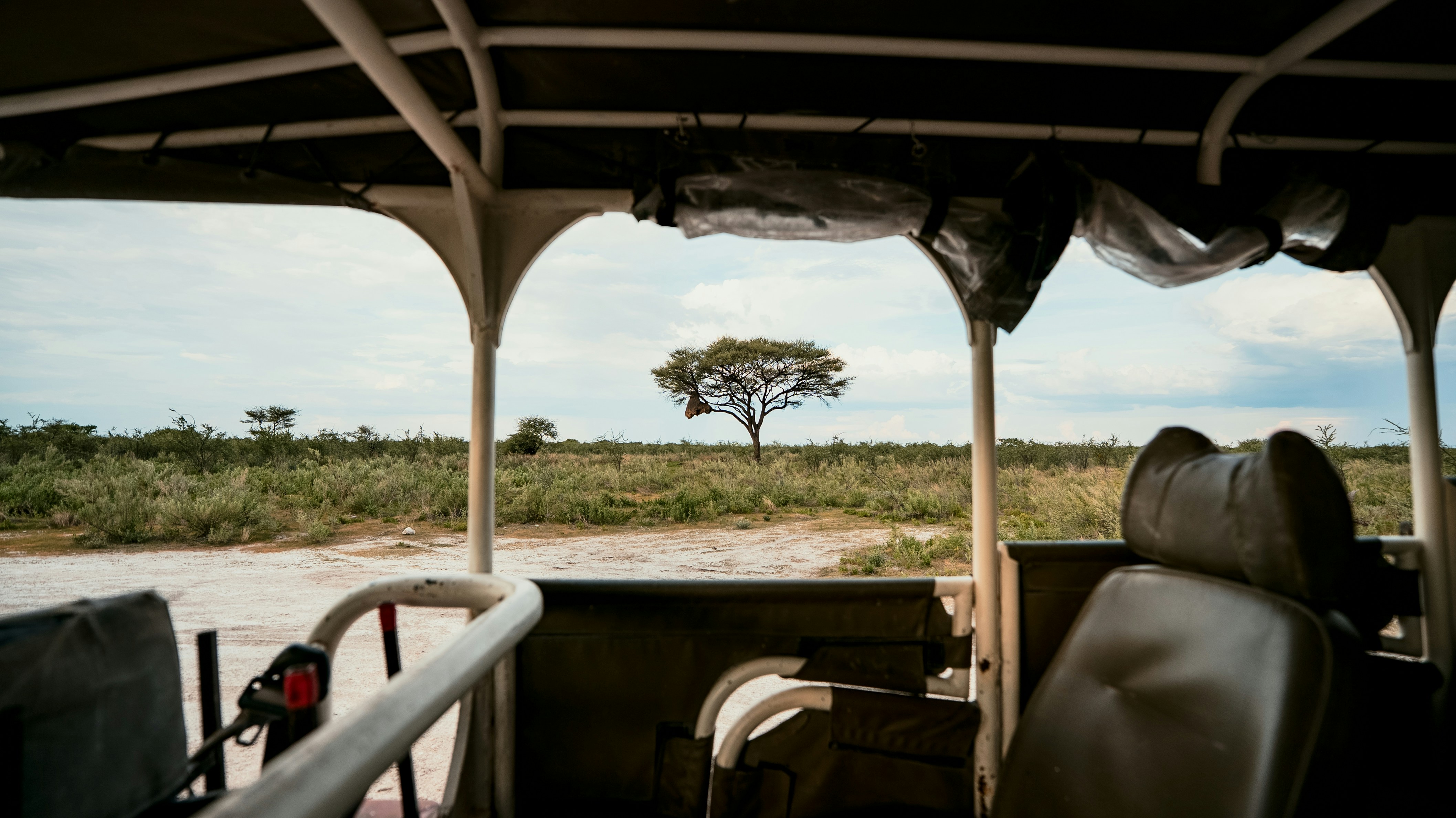 Safari Outpost: A Quiet Horizon Beyond the Vehicle Roof Racks