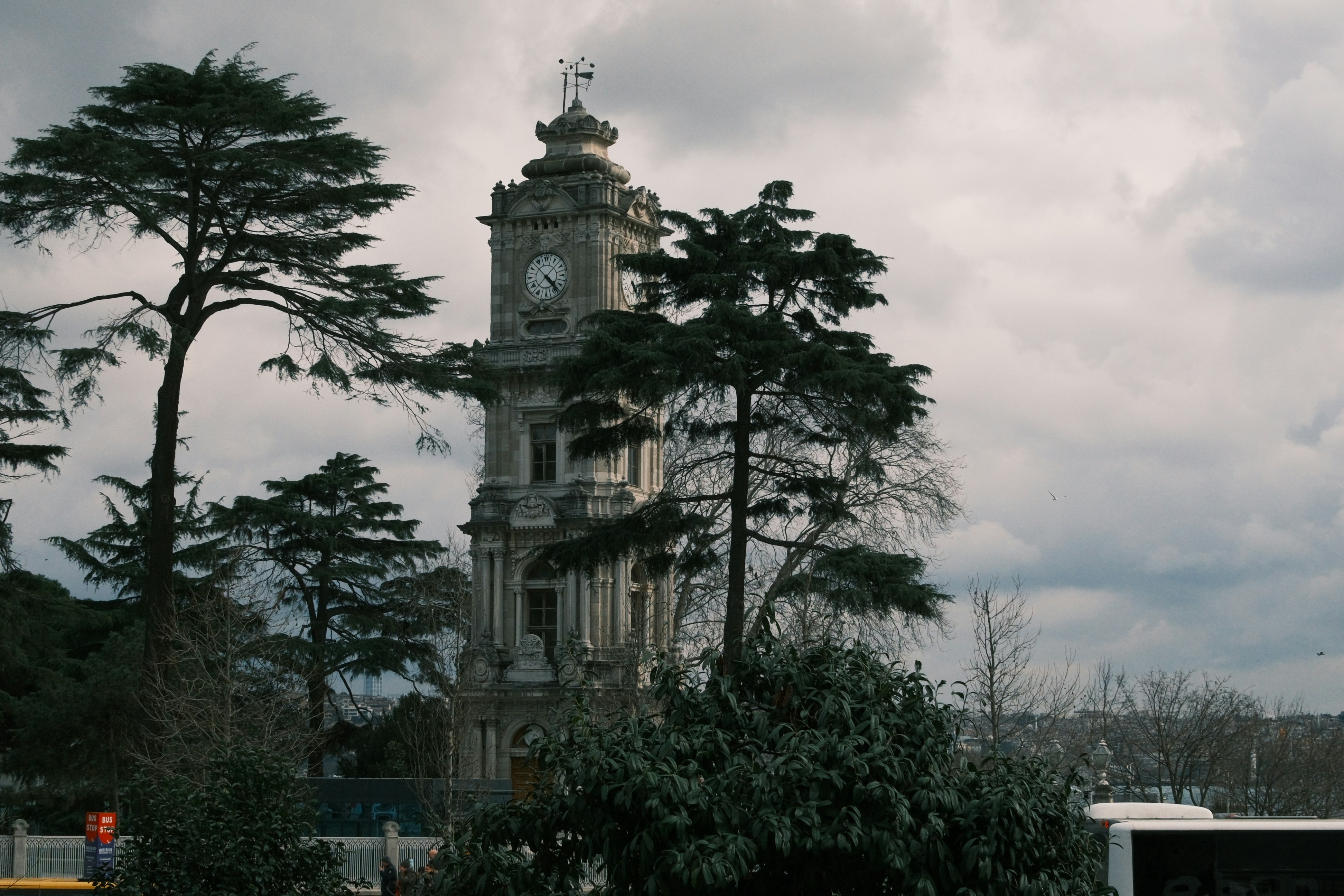 Clock Tower in a Quiet Park Surrounded by Pines