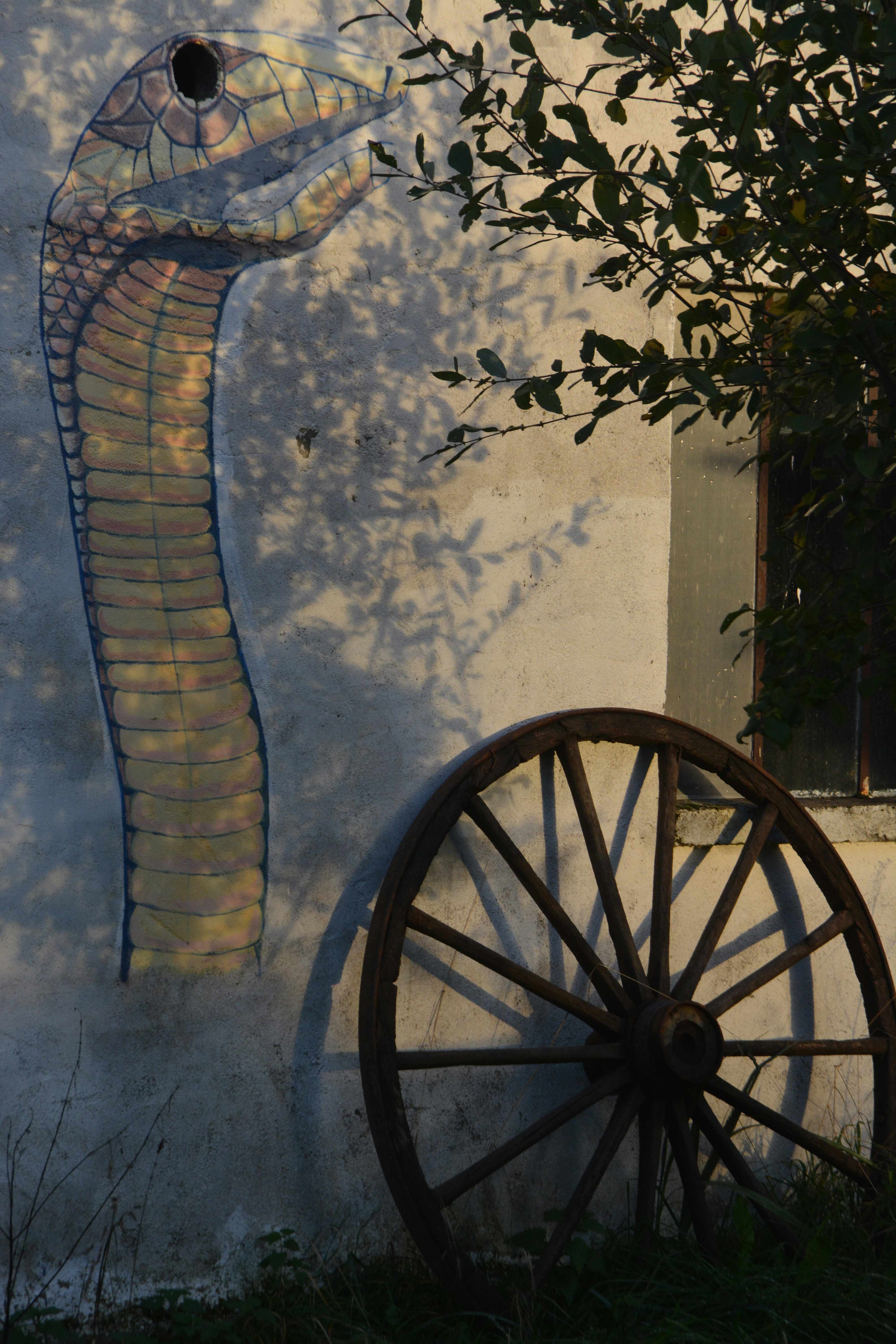 Coiled Snake Maze of Shadows by an Old Wheel