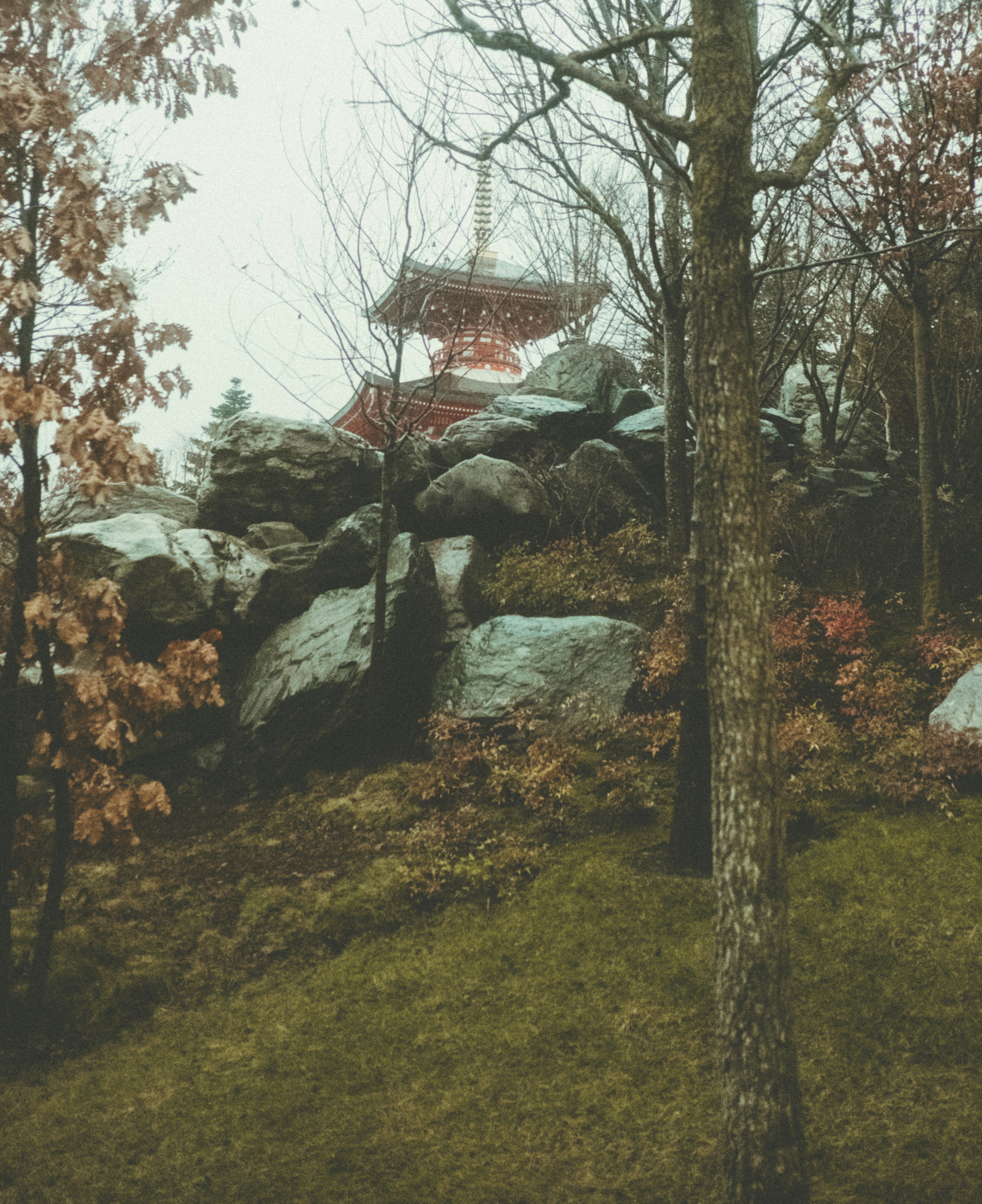 Hidden Pagoda Amid Granite: A Quiet Park Vista