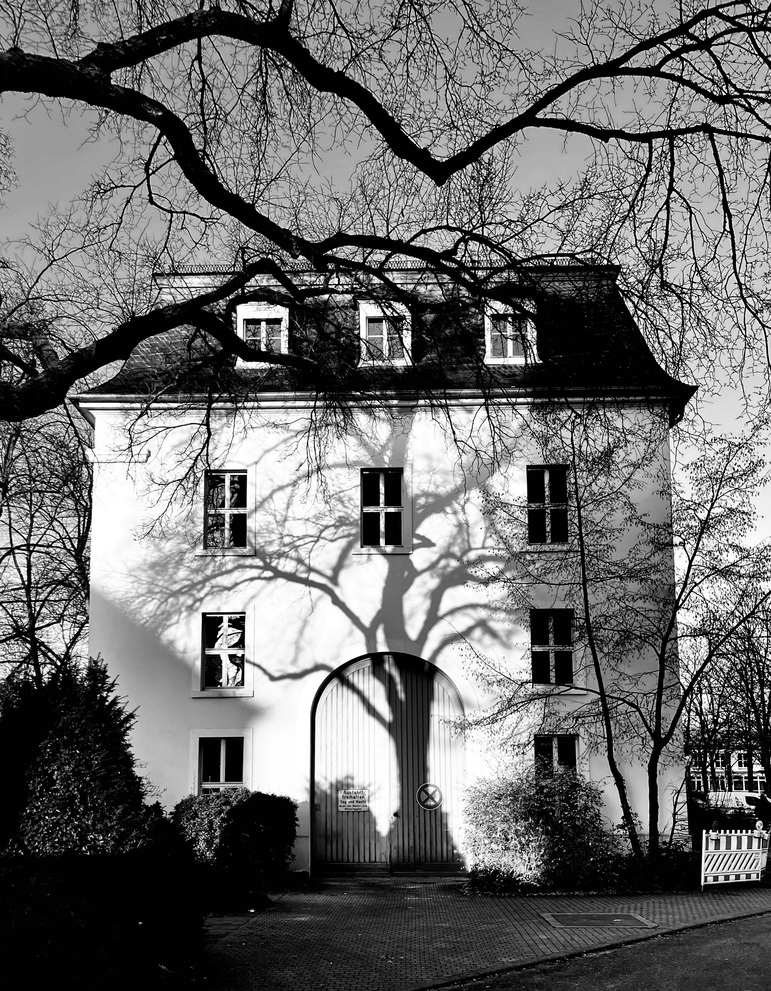 Sunlit Archway: A Shaded Facade Reclaimed by Tree Shadows