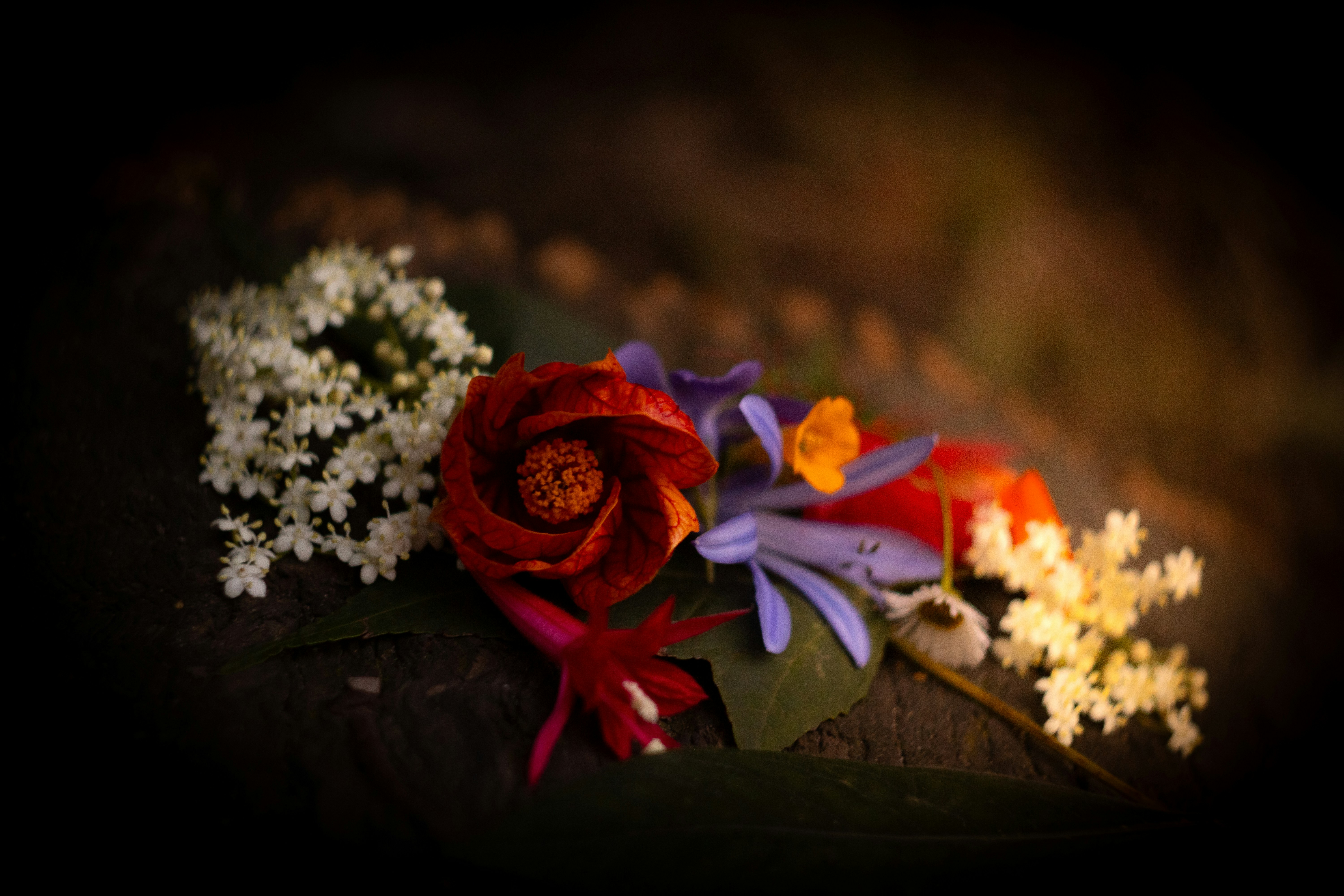 Hushed Bouquet in a Velvet Frame