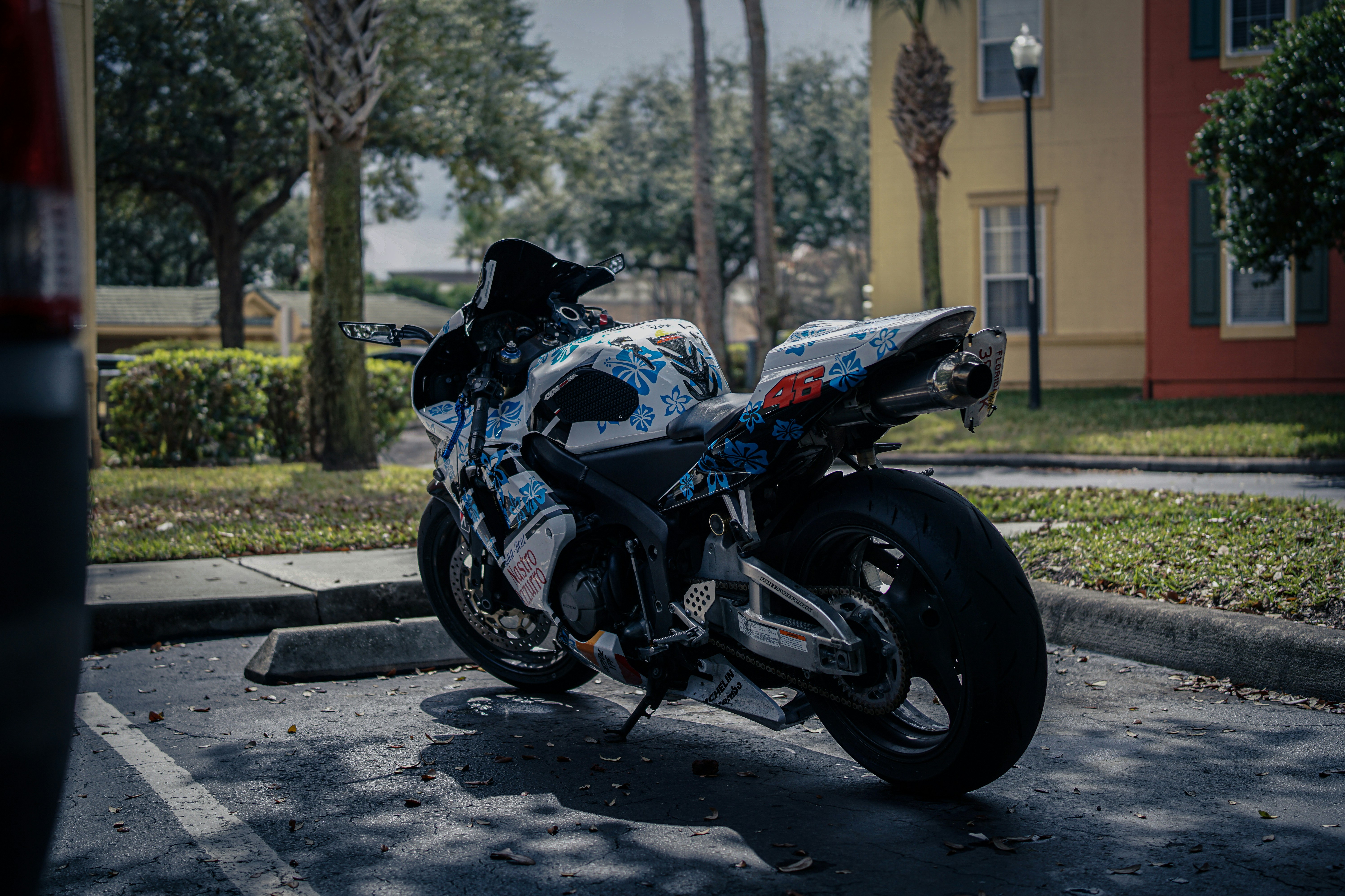 Midnight Run: A Stallion of Curves and Chrome
